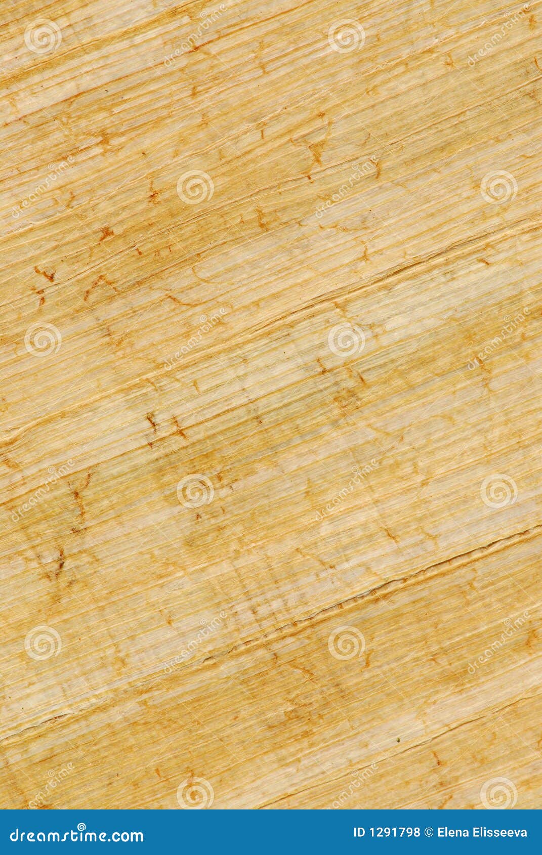 Papirus zdjęcie stock. Obraz złożonej z organicznie, zakończenie - 1291798