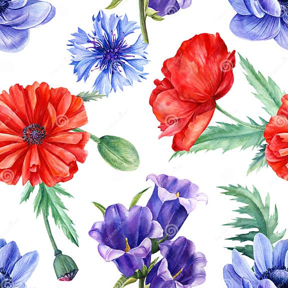 Papoilas Anêmonas Girassol Flor Azul Flor Flor Flor Flor Pinos ... Papoilas Anêmonas Girassol Flor Azul Flor Flor Flor Flor Pinos ...