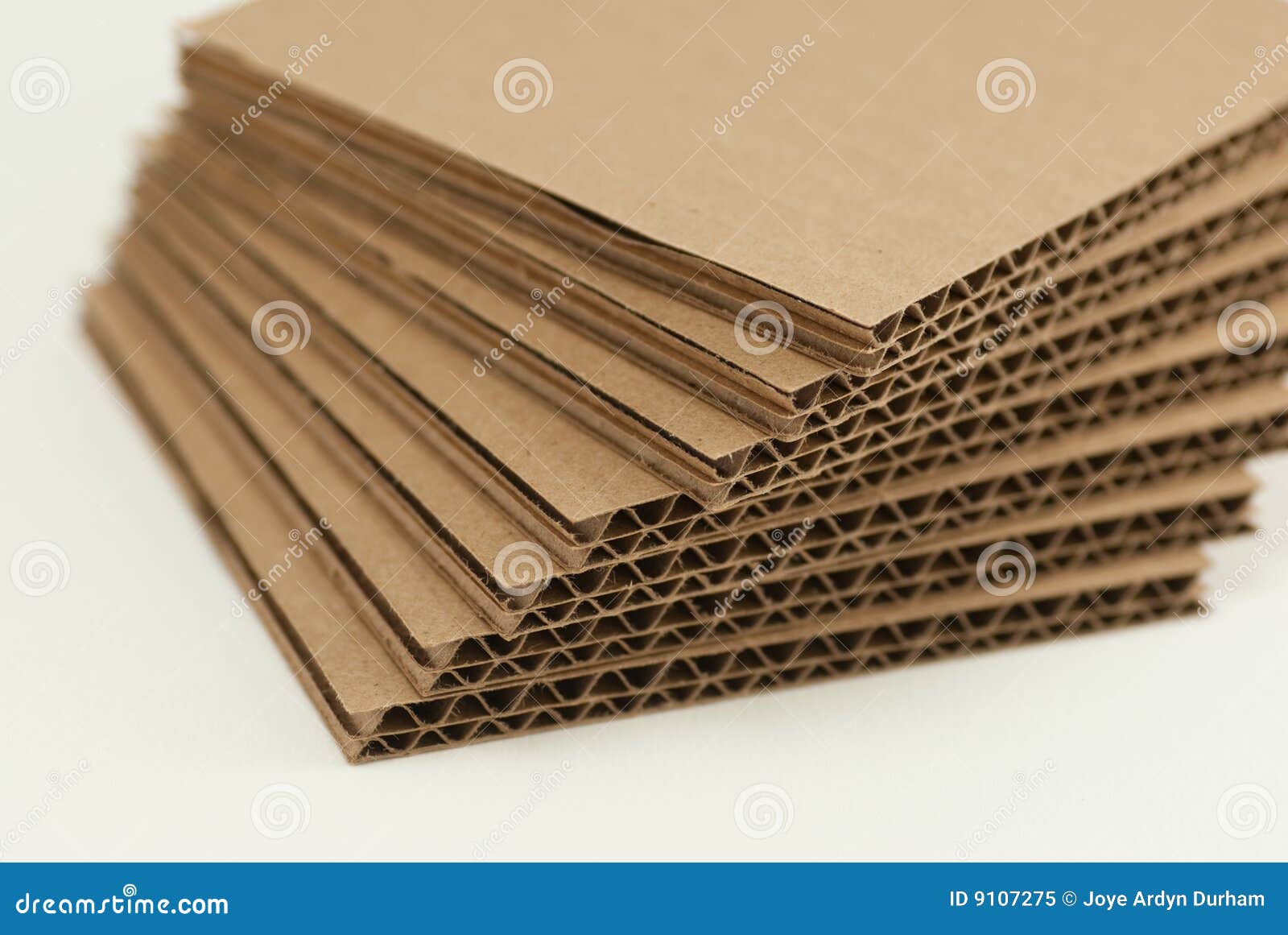 Papp fotografering för bildbyråer. Bild av fokus, skapat - 9107275