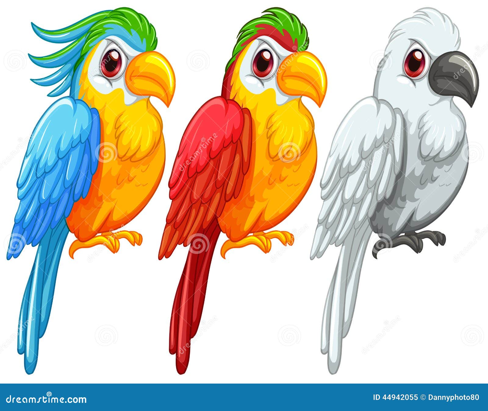 Pappagalli illustrazione vettoriale. Illustrazione di pappagallo - 44942055