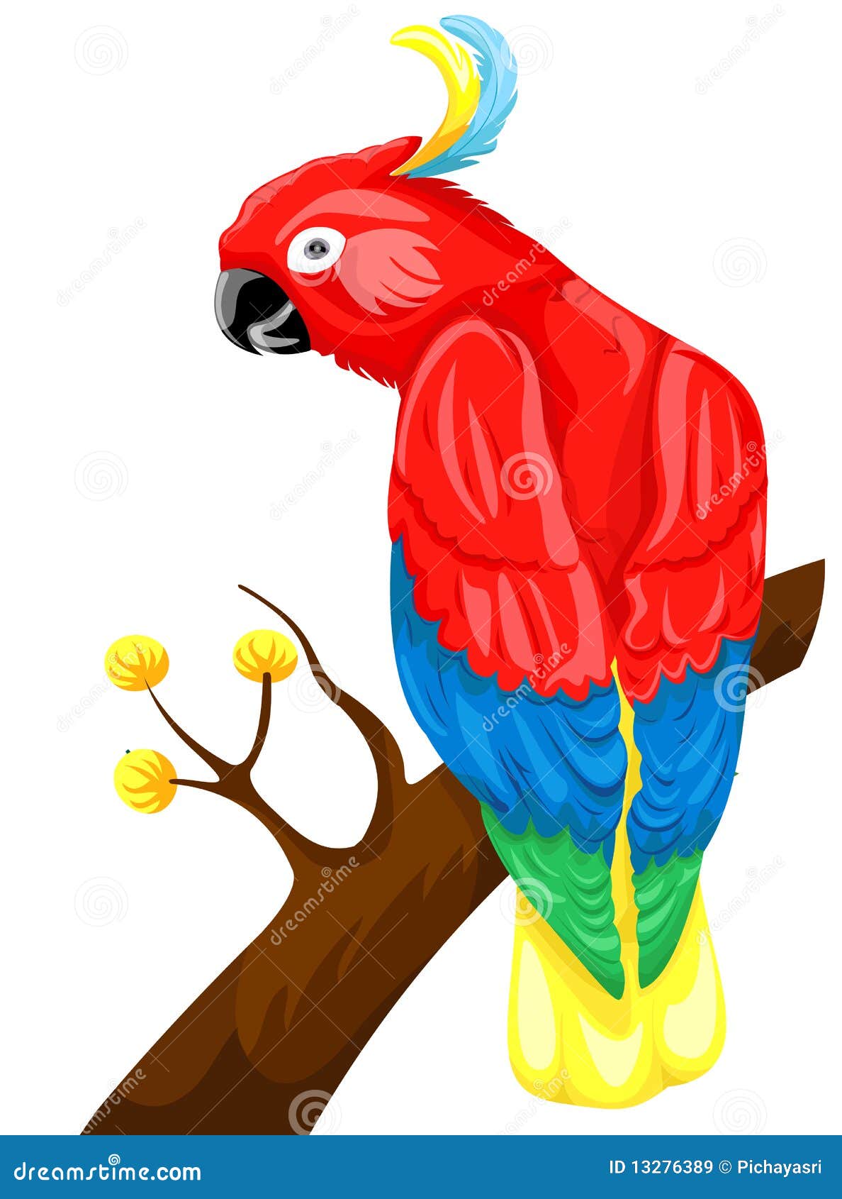 Pappagallo illustrazione vettoriale. Illustrazione di uccello - 13276389