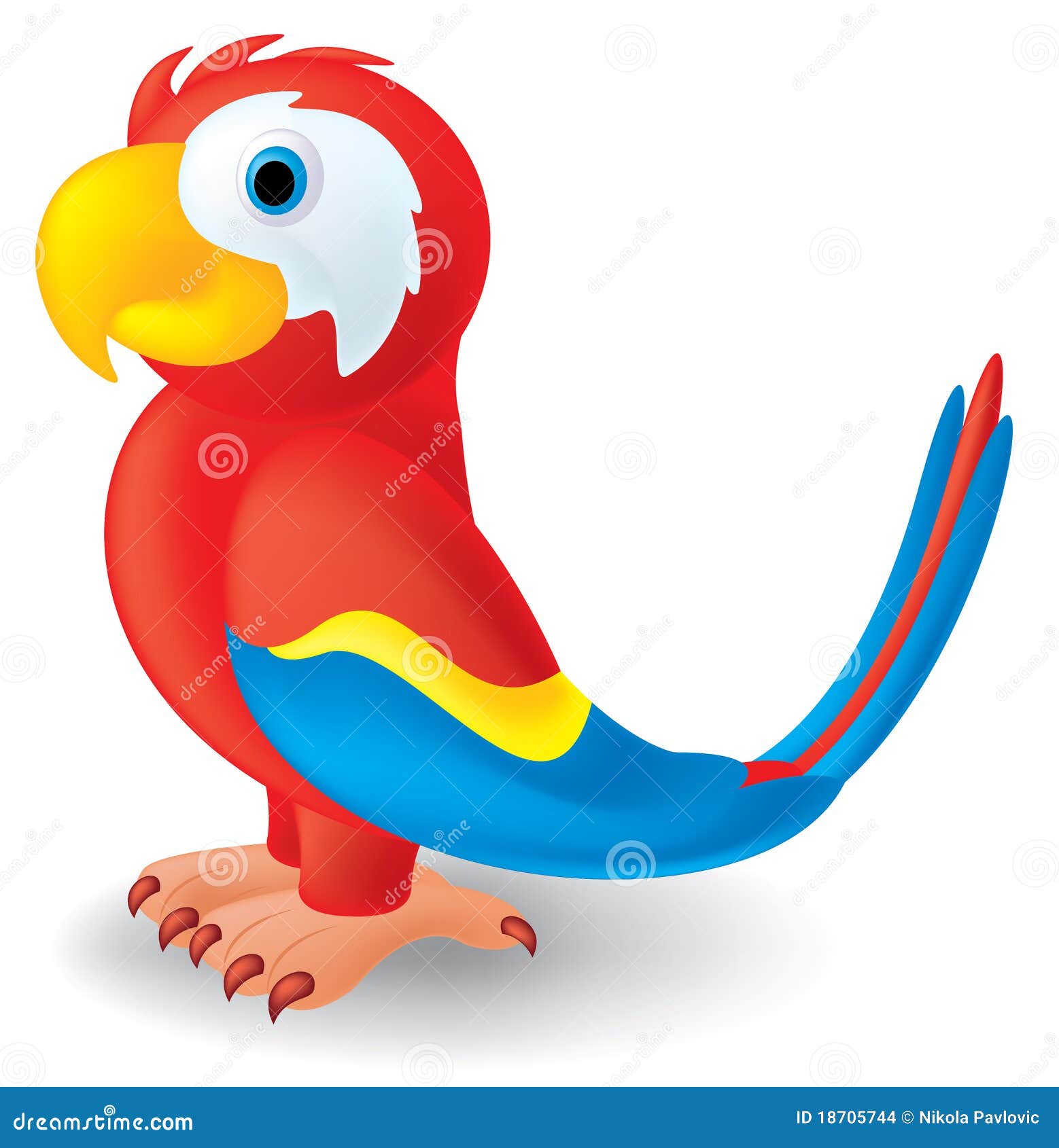 Pappagallo illustrazione vettoriale. Illustrazione di carino - 18705744