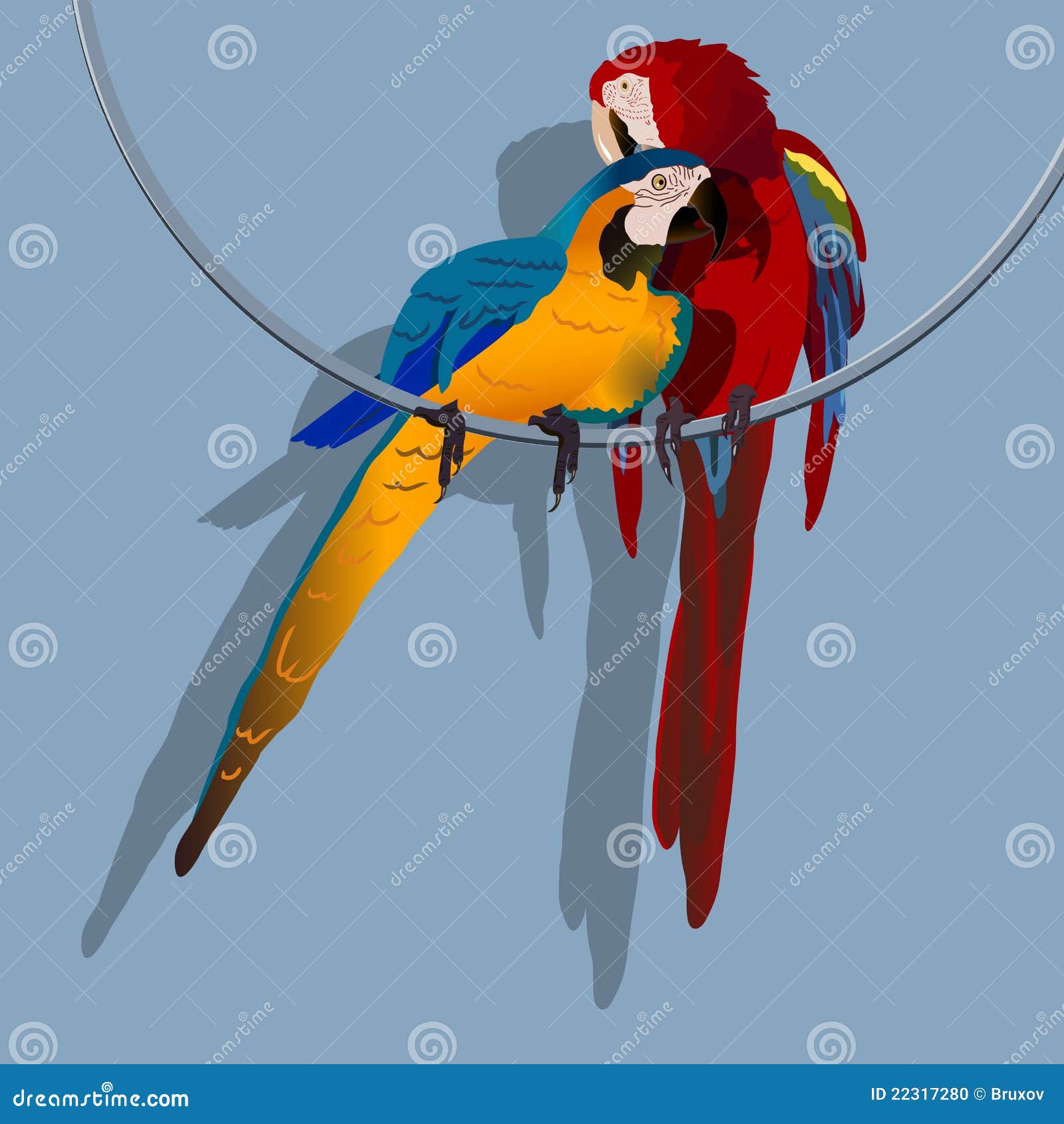Pappagallo illustrazione vettoriale. Illustrazione di illustrazione ...