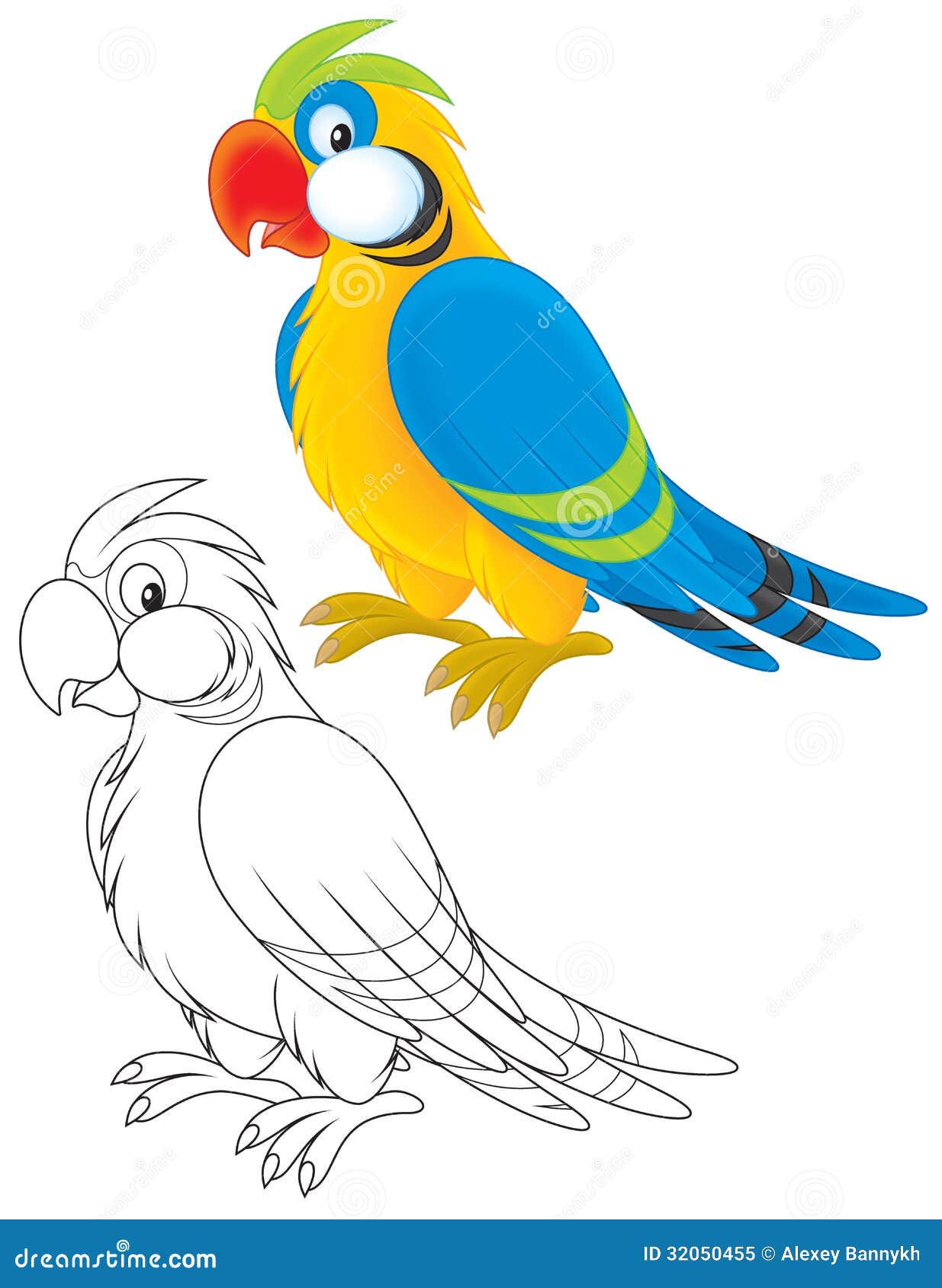 Pappagallo illustrazione vettoriale. Illustrazione di sfondo - 32050455