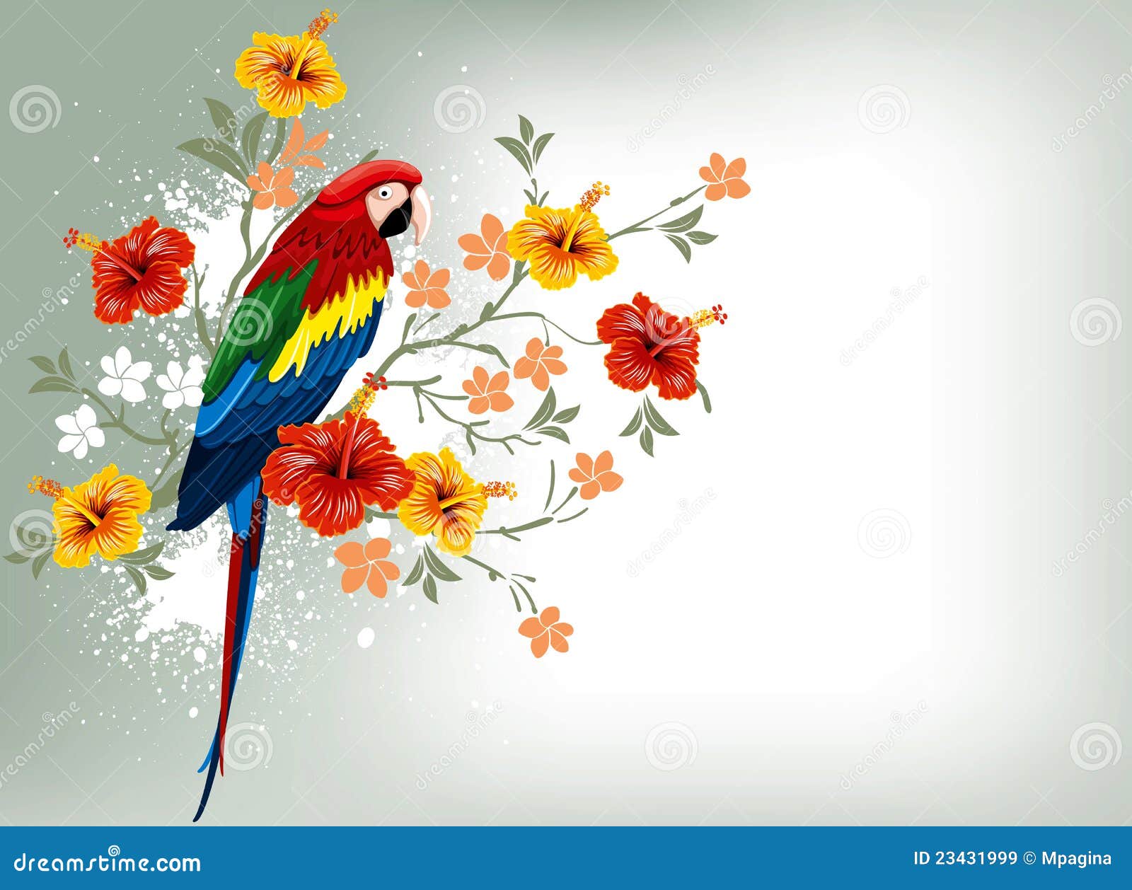 Pappagallo E Fiori Tropicali Illustrazione Vettoriale - Illustrazione ...