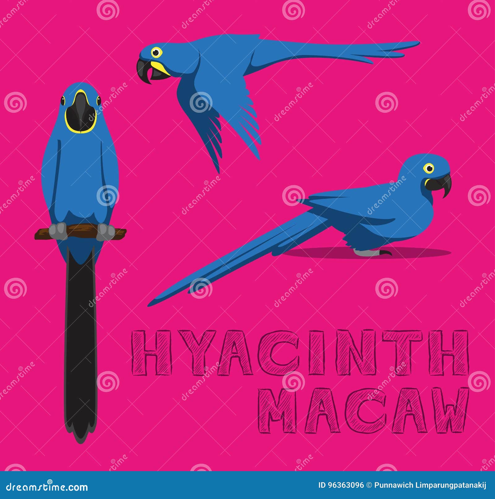 Pappagallo Hyacinth Macaw Cartoon Vector Illustration Illustrazione ...