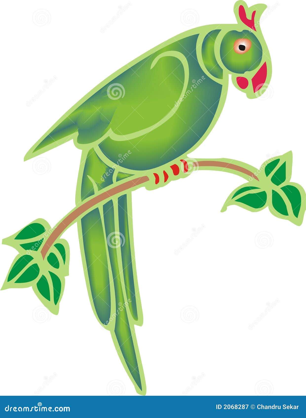 Pappagallo Verde Illustrazioni, Vettoriali E Clipart Stock – (28,550 ...