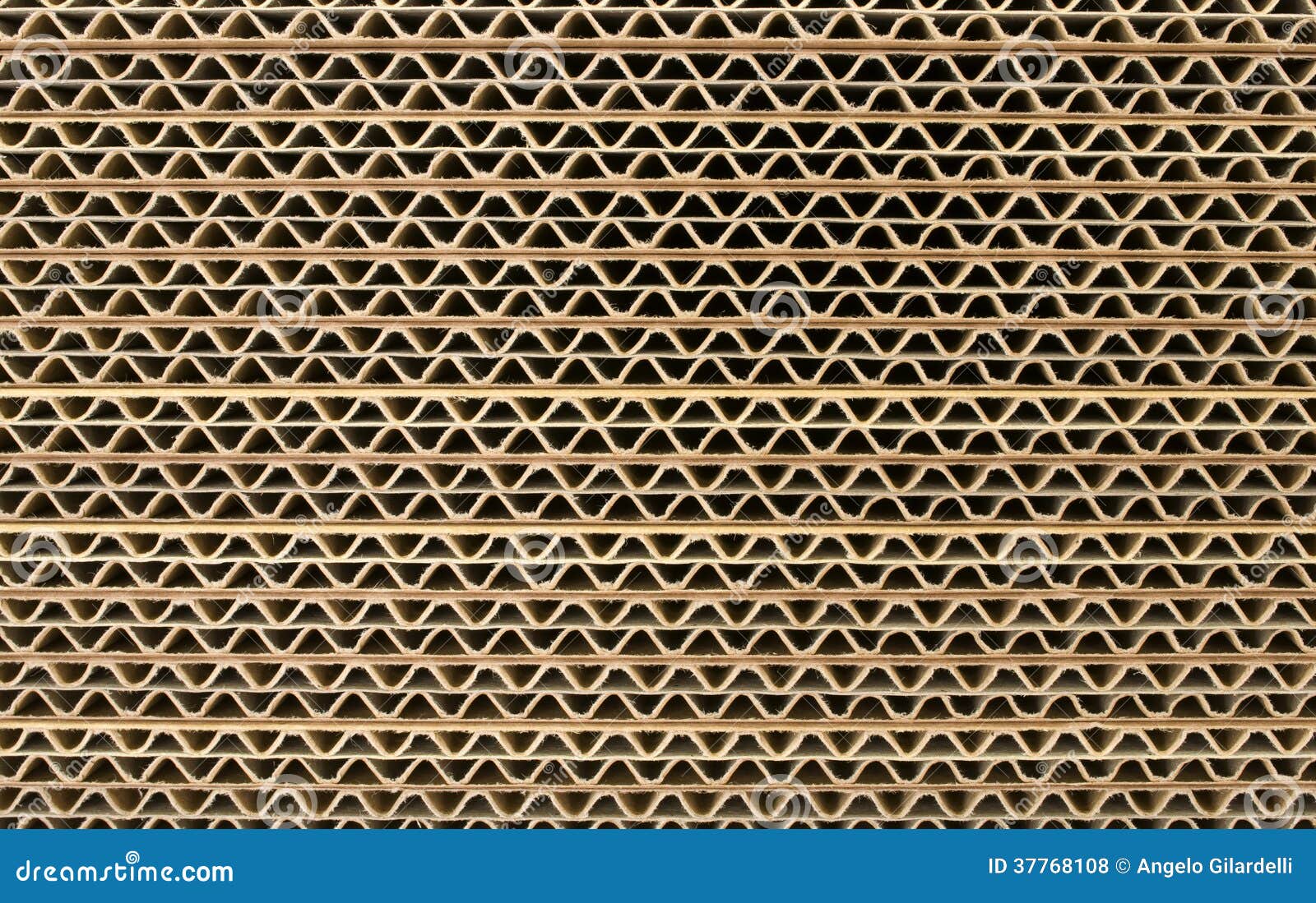 Pappe, Querschnitt stockfoto. Bild von beschaffenheit - 37768108