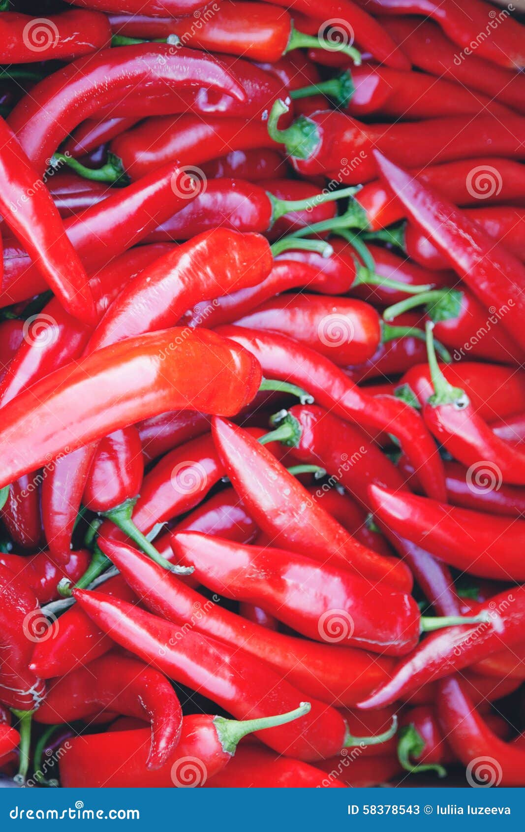 Paprica stock image. Image of chile, vegetable, spice - 58378543