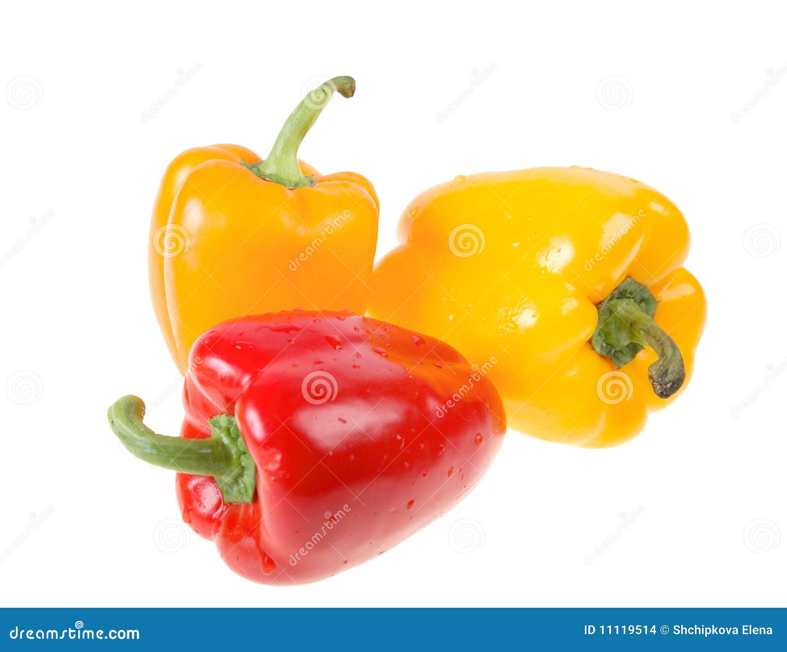 Paprika stock photo. Image of cook, heat, color, closeup - 11119514