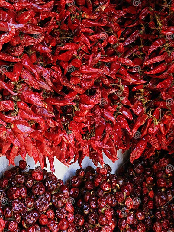 Paprika stock image. Image of lettuce, maroon, vegetable - 151289