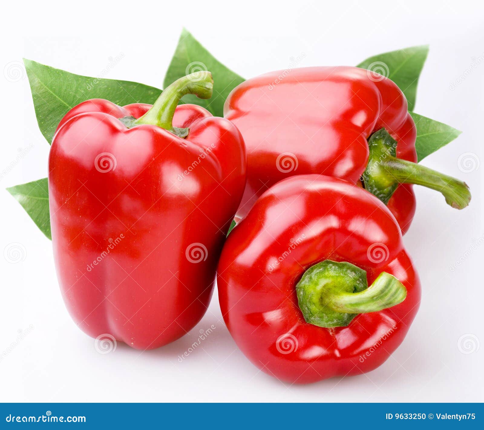 Paprika stock photo. Image of three, white, pepper, fresh - 9633250