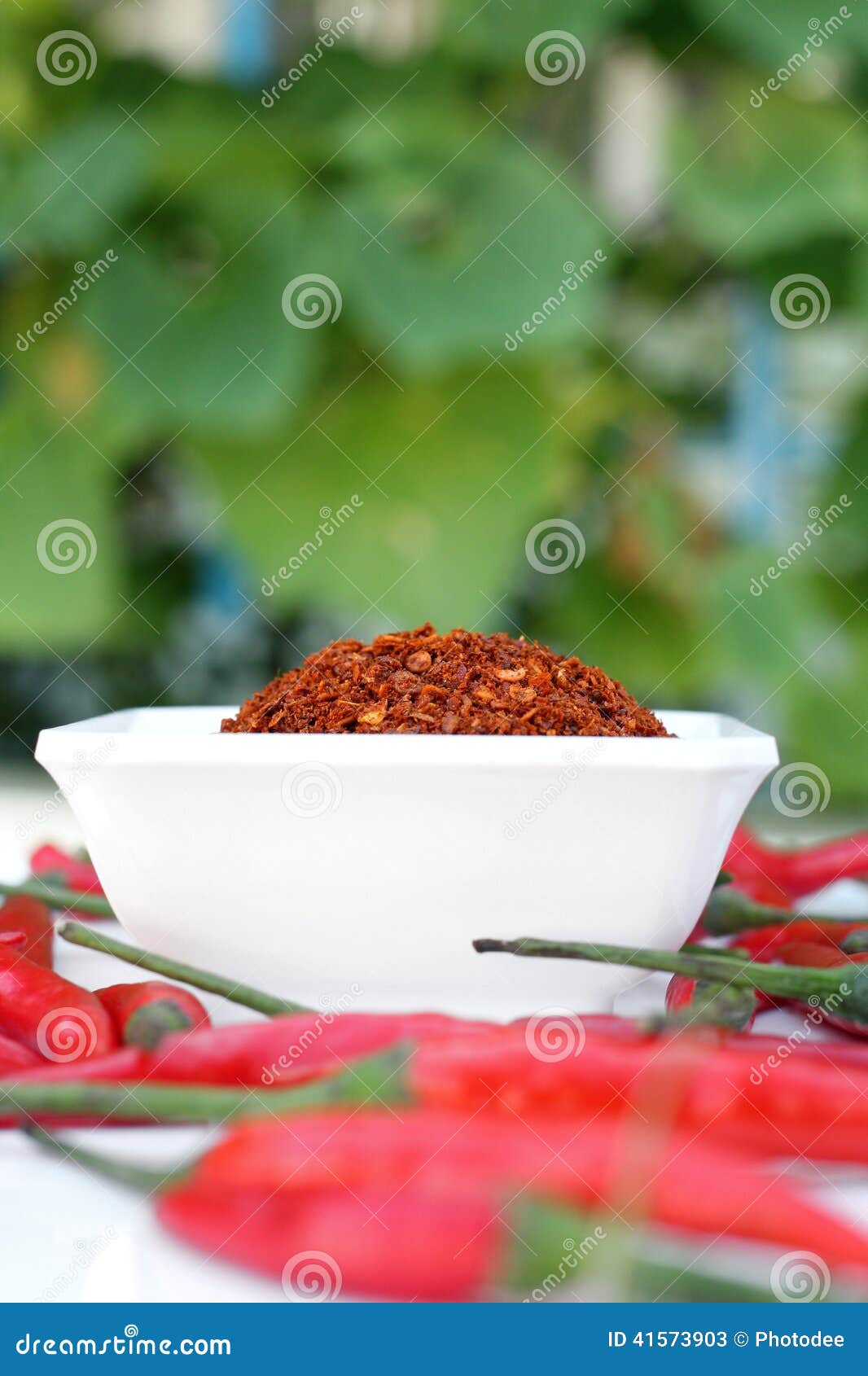 Paprika chili powder stock image. Image of herbal, background - 41573903