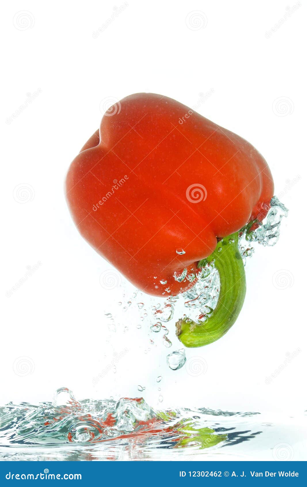 A Paprika Jumping Out of the Water Stock Photo - Image of diet, food ...