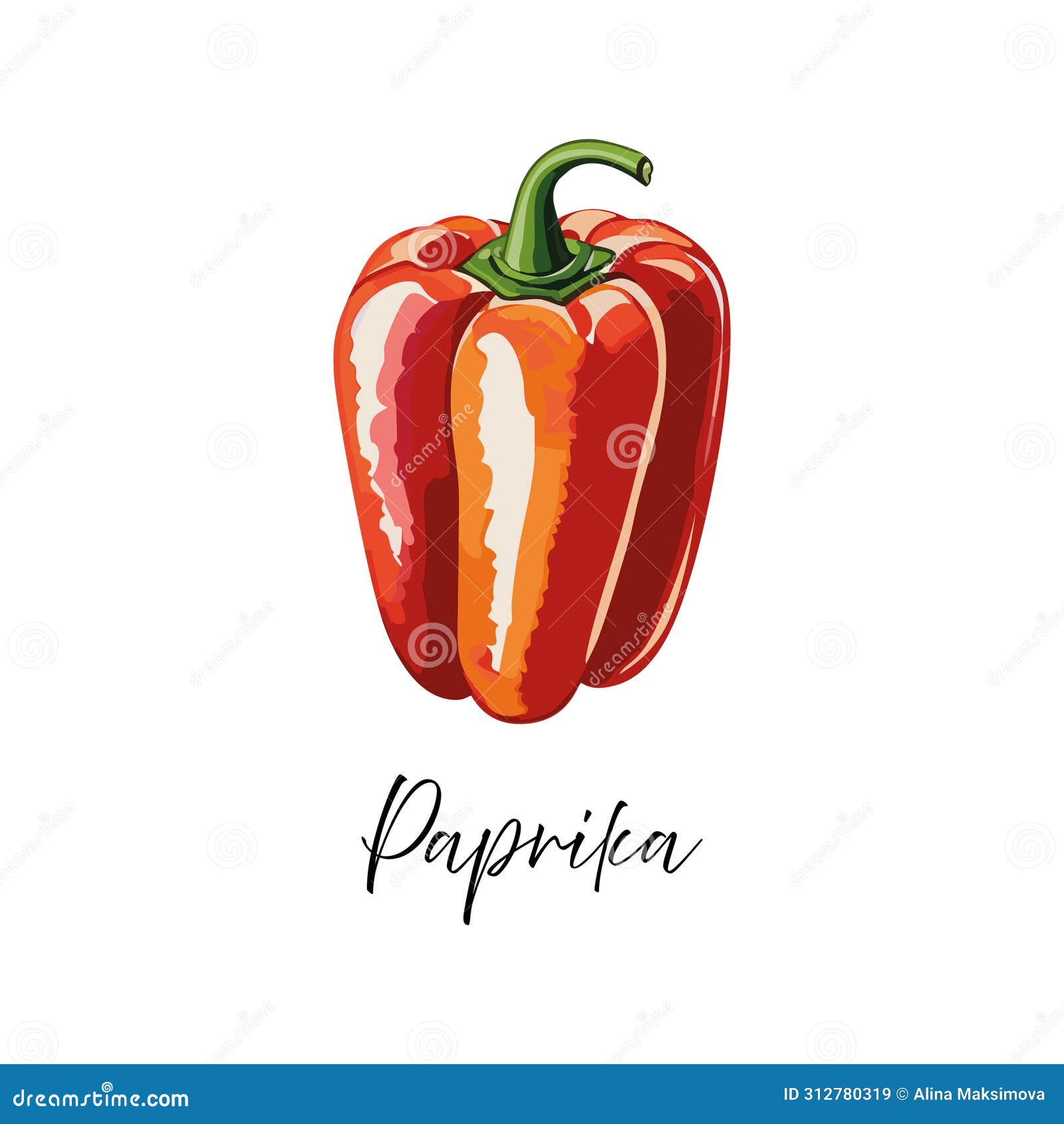 Paprika Vector Illustration Stock Vector - Illustration of pepper ...