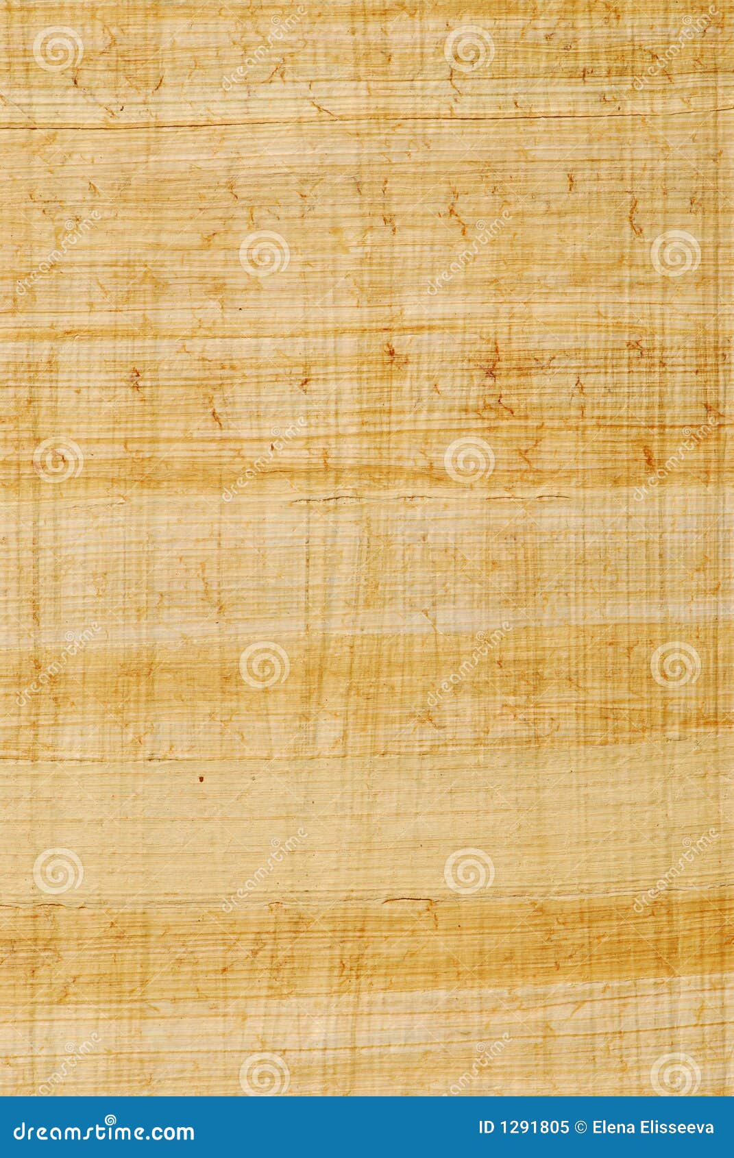 Papyrus stock image. Image of organic, design, paper, yellow - 1291805