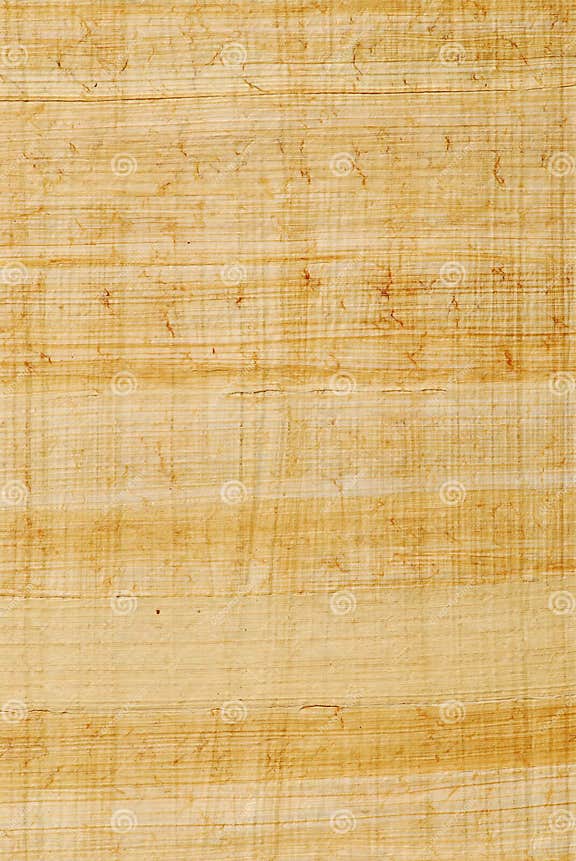 Papyrus stock image. Image of organic, design, paper, yellow - 1291805