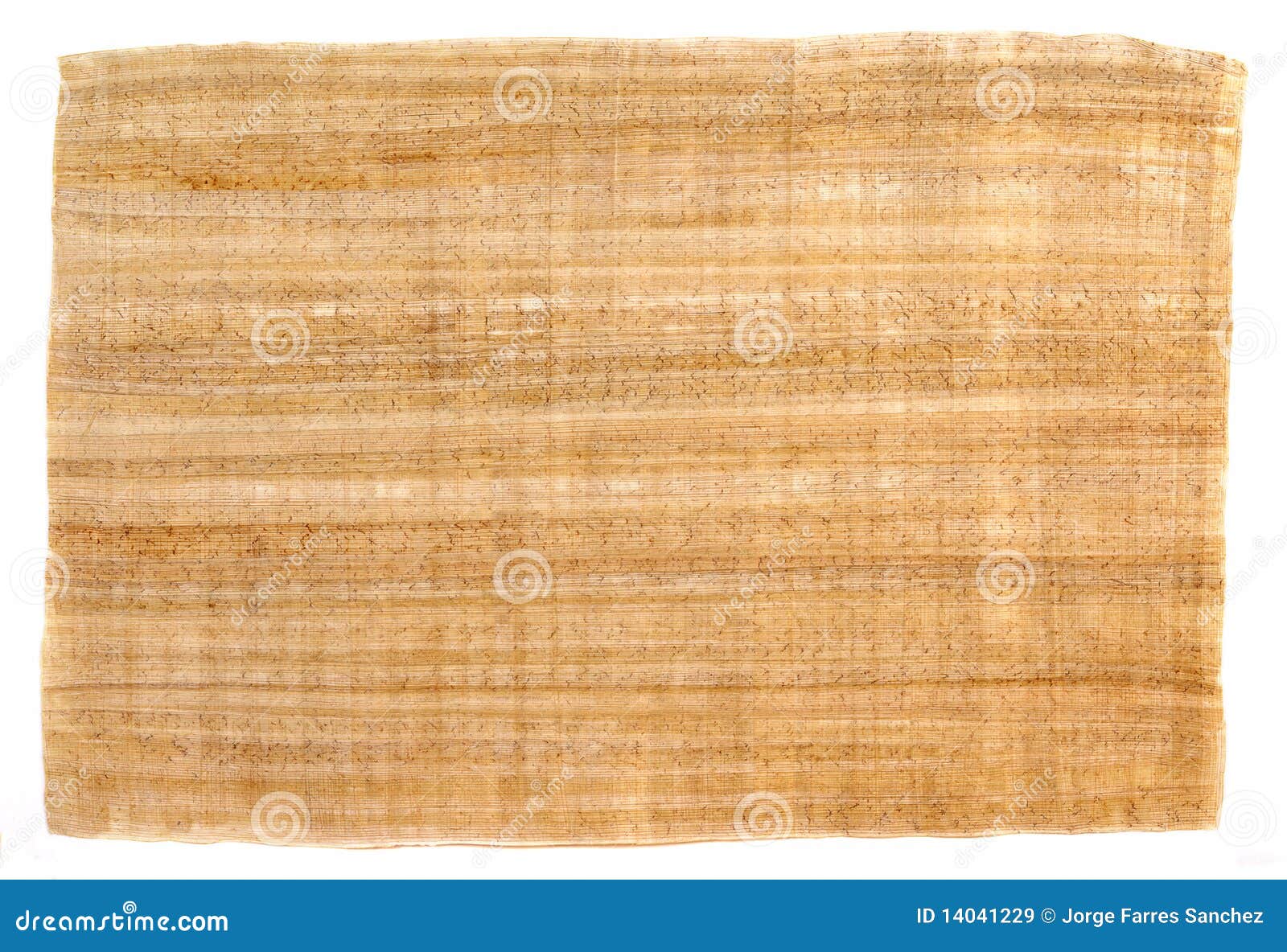 Papyrus stock image. Image of parchment, stationery, texture - 14041229