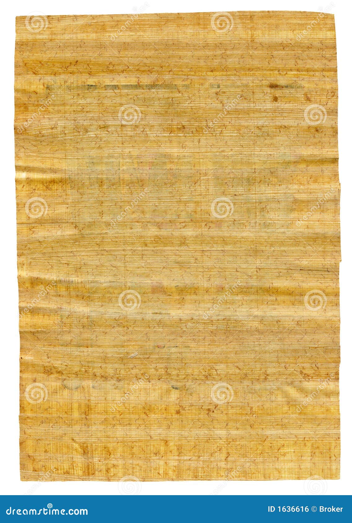 Papyrus stock photo. Image of antique, egypt, detailed - 1636616