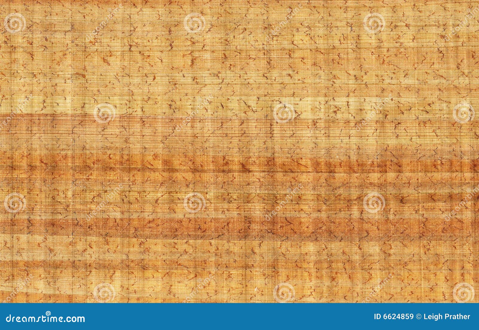 Papyrus stock image. Image of page, brown, leaves, material - 6624859