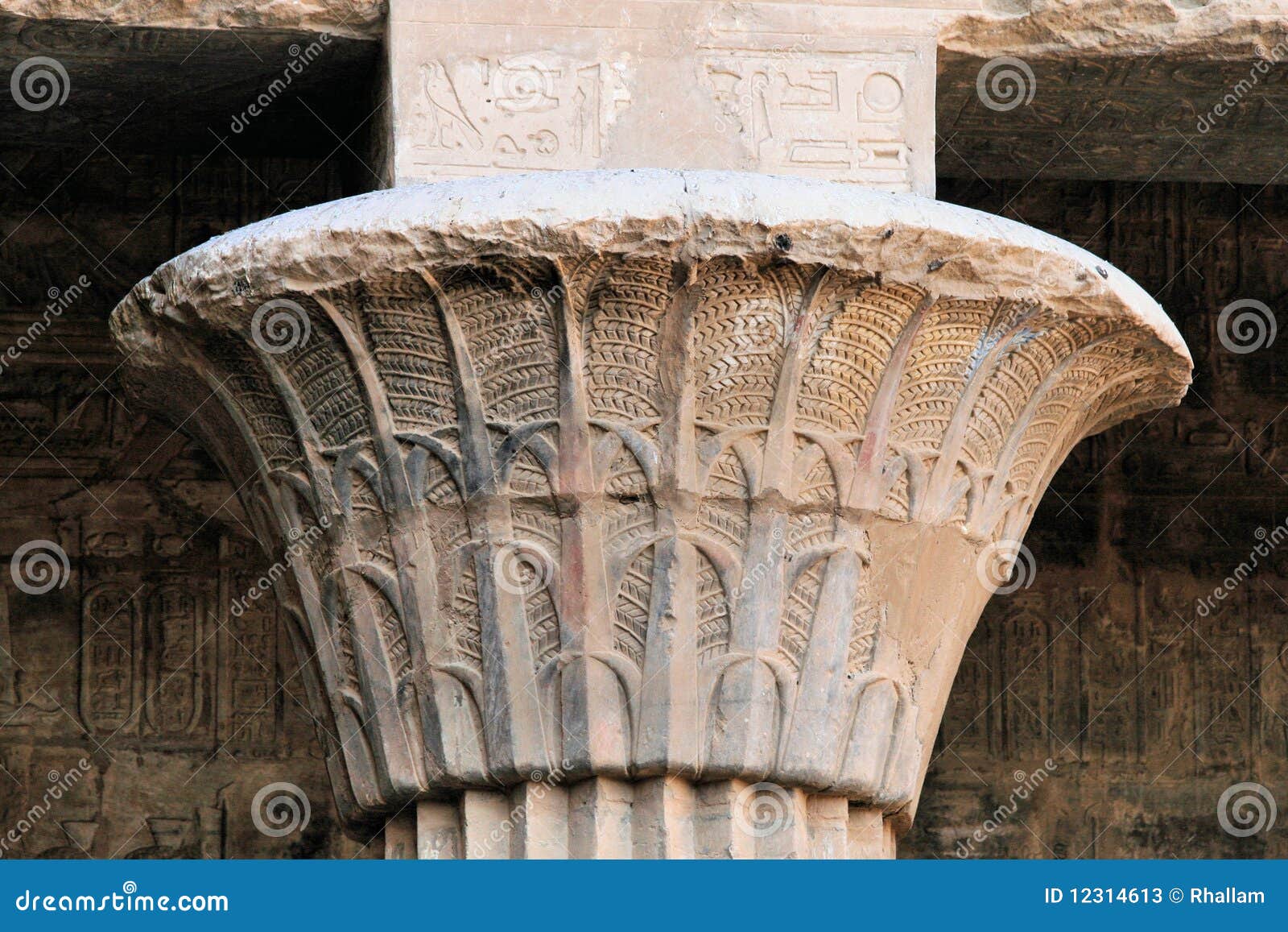 Papyrus column stock image. Image of worship, bank, river - 12314613