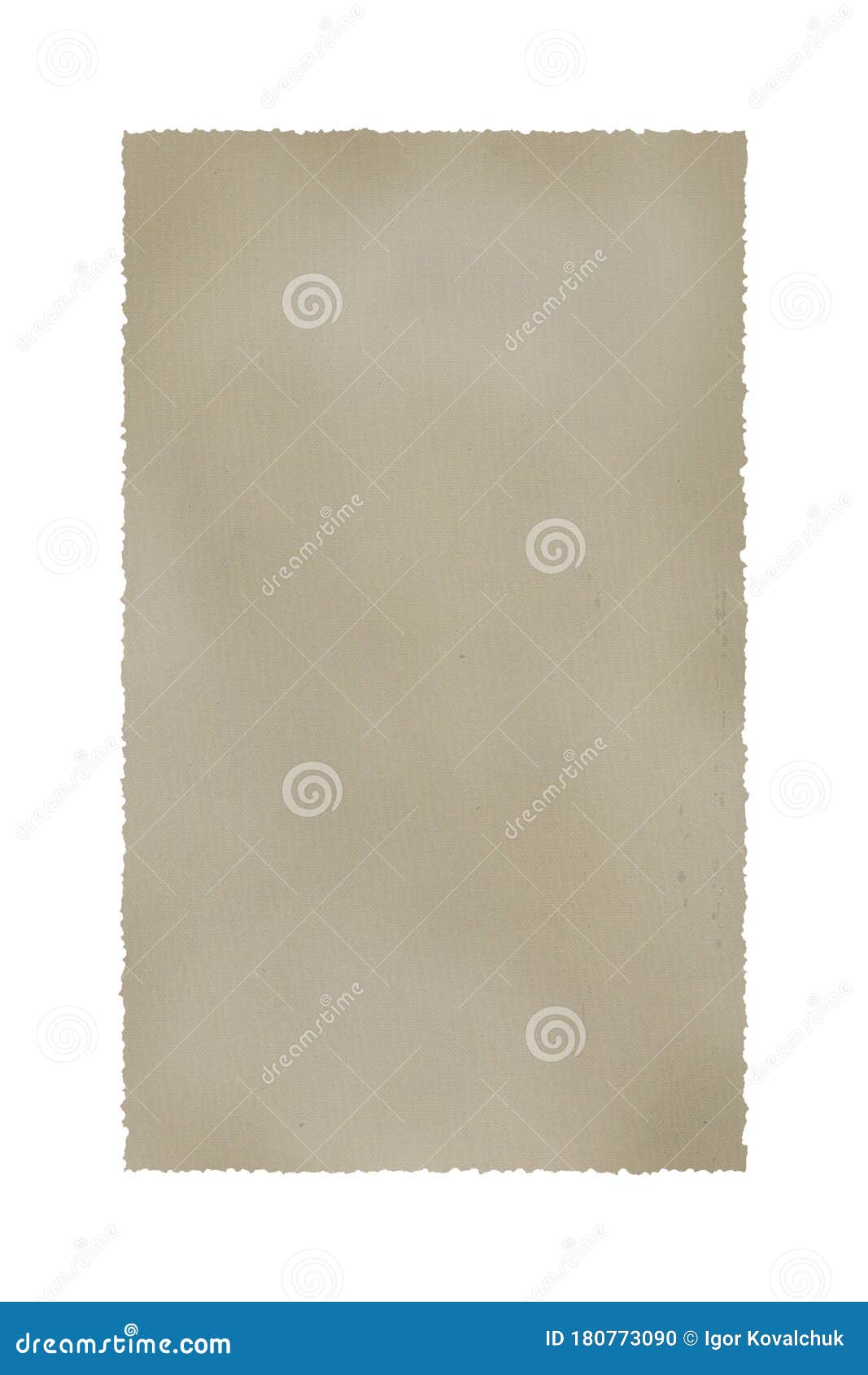 Papyrus isolated on white stock photo. Image of beige - 180773090