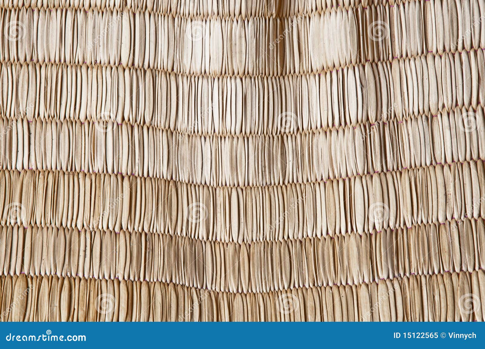 Papyrus mat stock image. Image of texture, material, pattern - 15122565