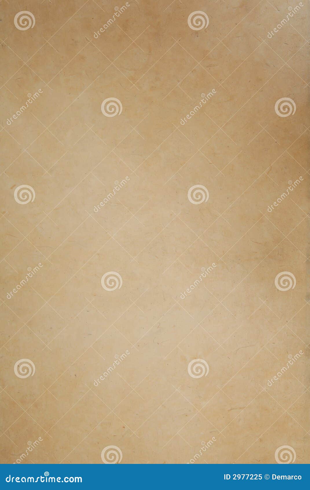 Papyrus paper stock image. Image of paper, vellum, ladled - 2977225
