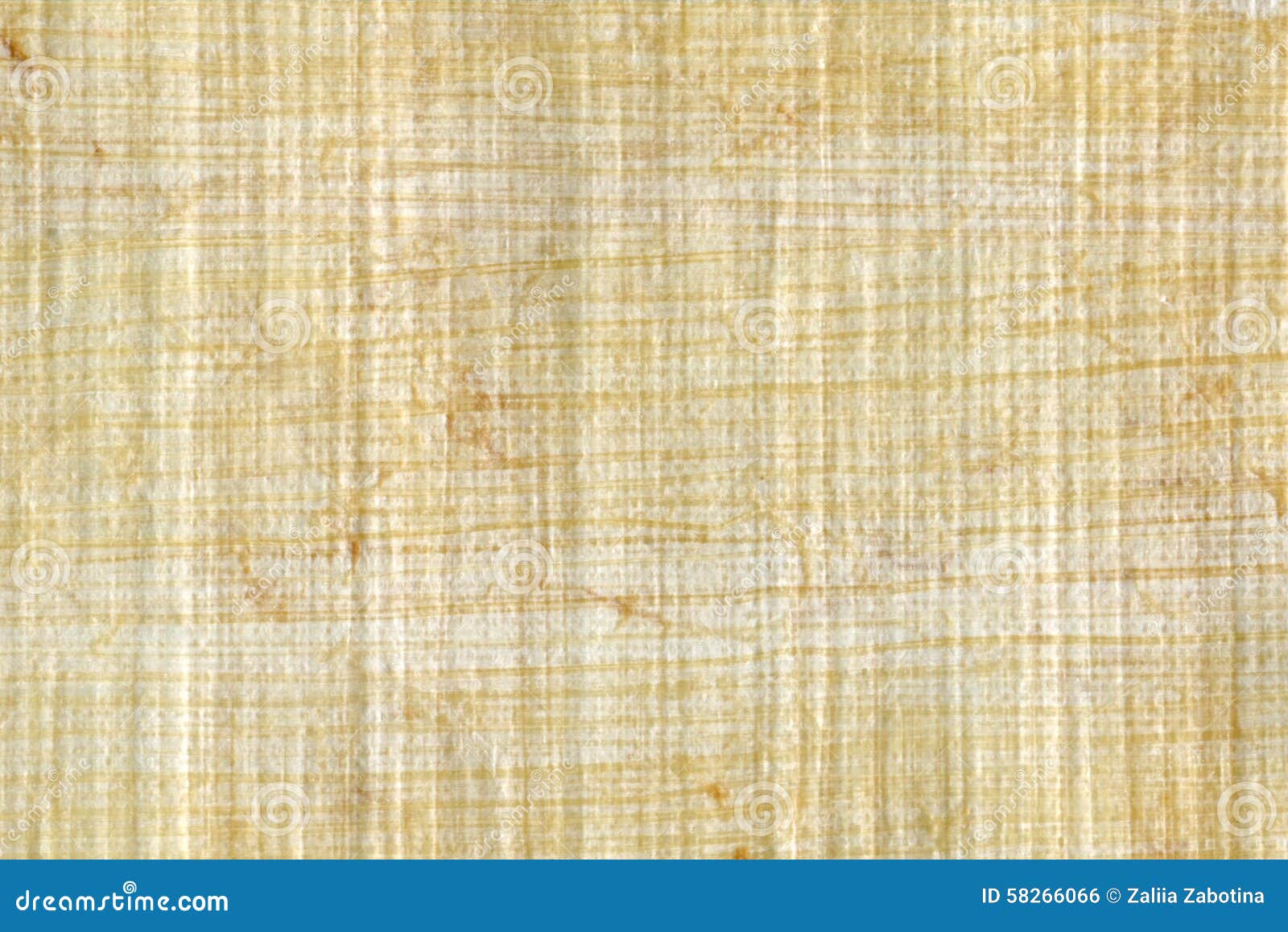 Papyrus paper stock photo. Image of parchment, paper - 58266066