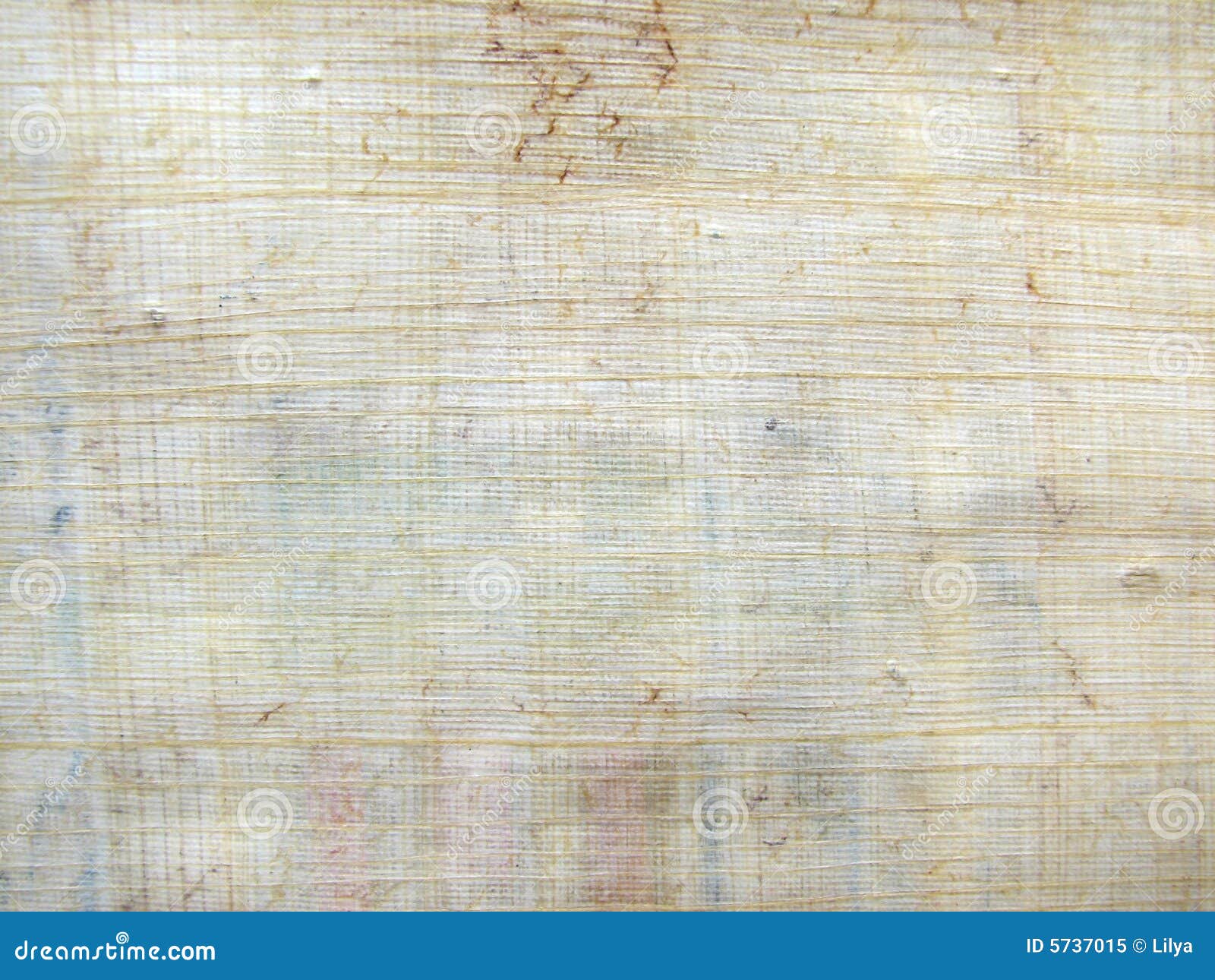 Papyrus pattern stock image. Image of textured, parchment - 5737015