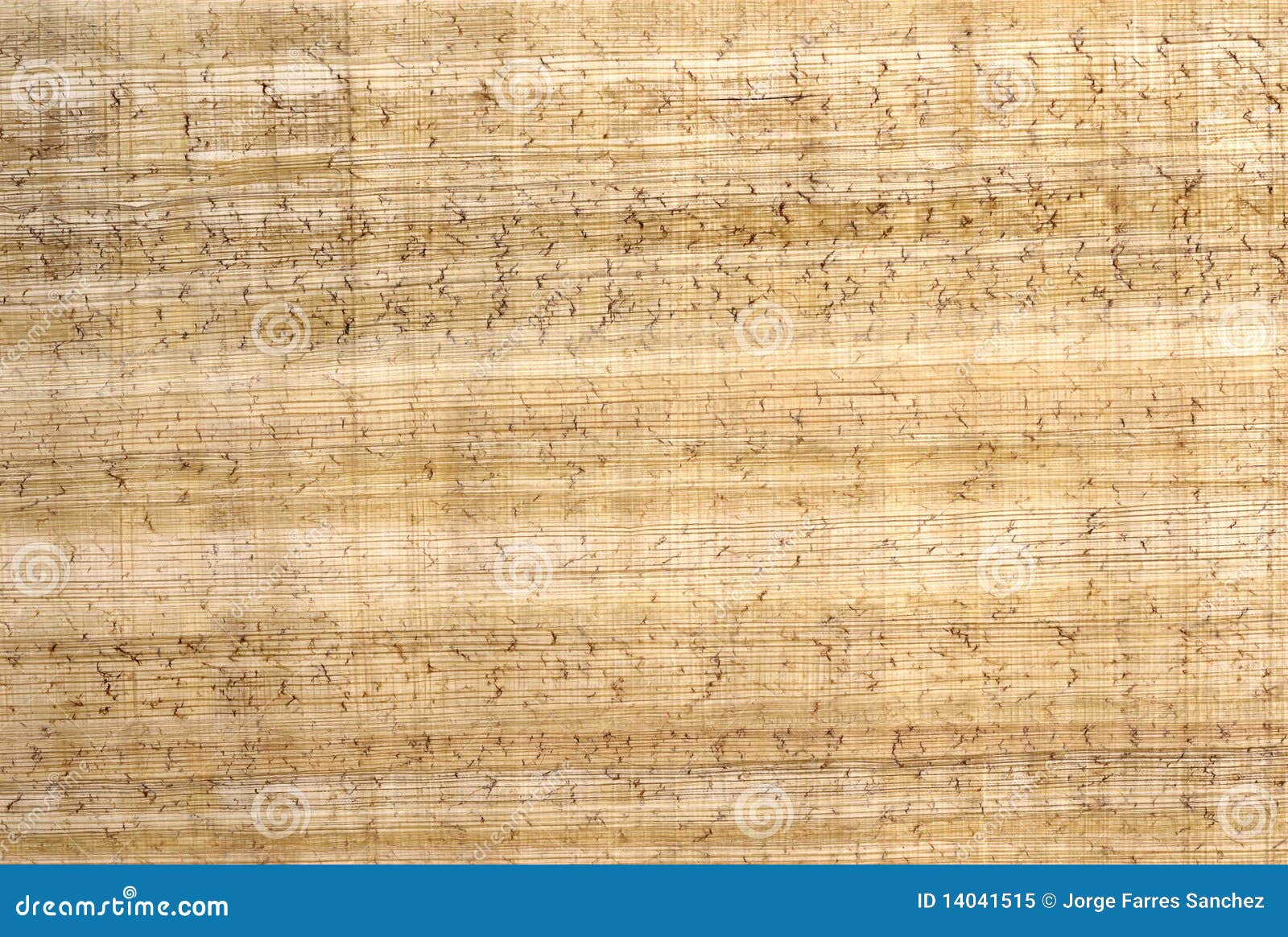Papyrus texture stock image. Image of linen, natural - 14041515