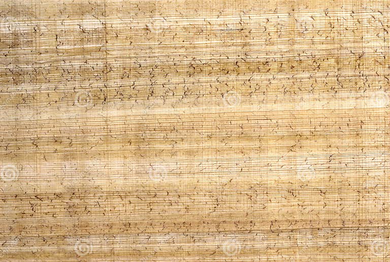 Papyrus texture stock image. Image of linen, natural - 14041515