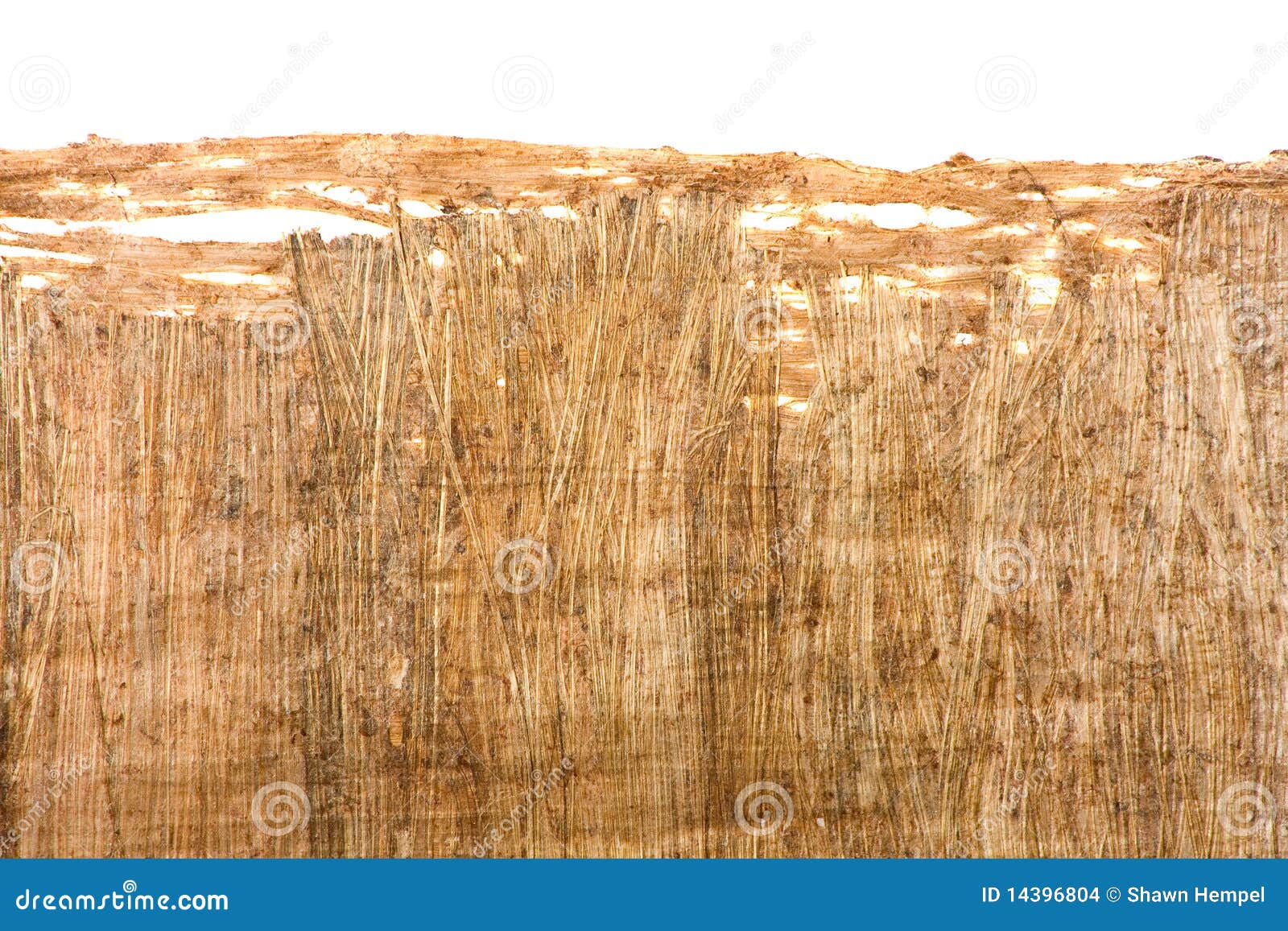 Papyrus texture stock photo. Image of white, dirty, page - 14396804