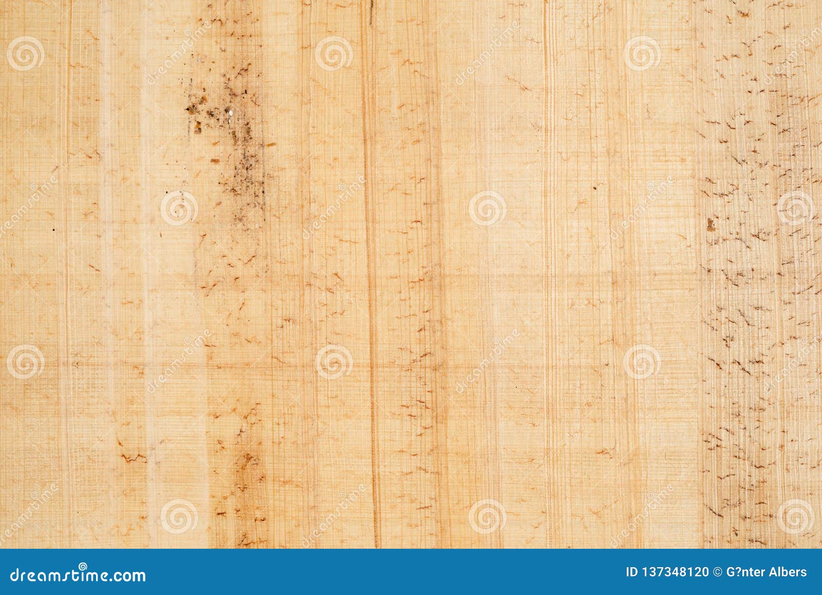 Papyrus Paper Texture