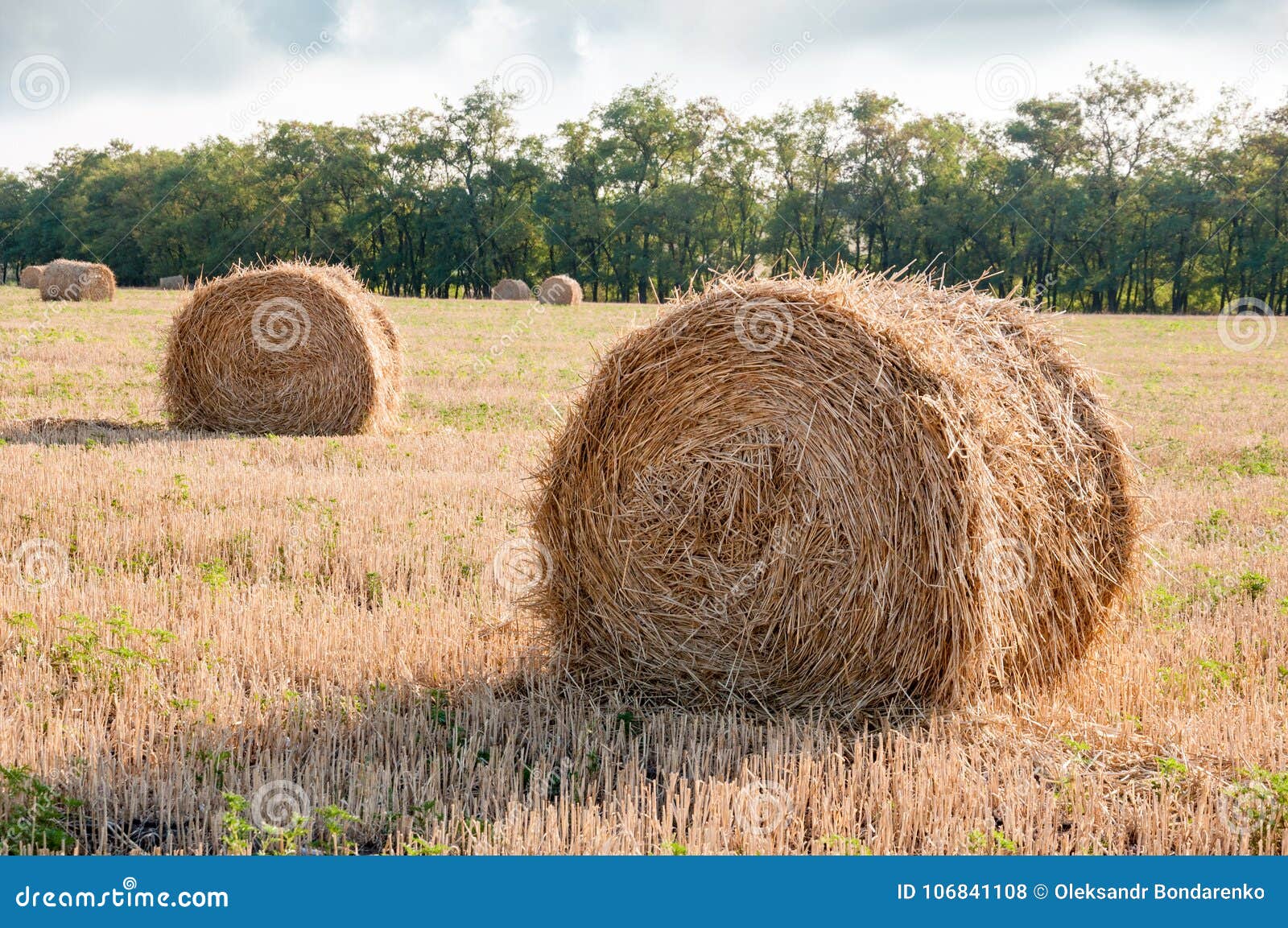 Paquete rodado del heno foto de archivo. Imagen de cubo - 106841108