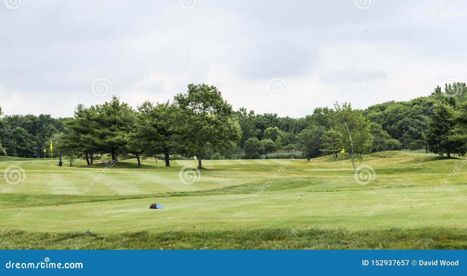 Par 3 Golf Course Landscape Stock Image - Image of lifestyle, green ...