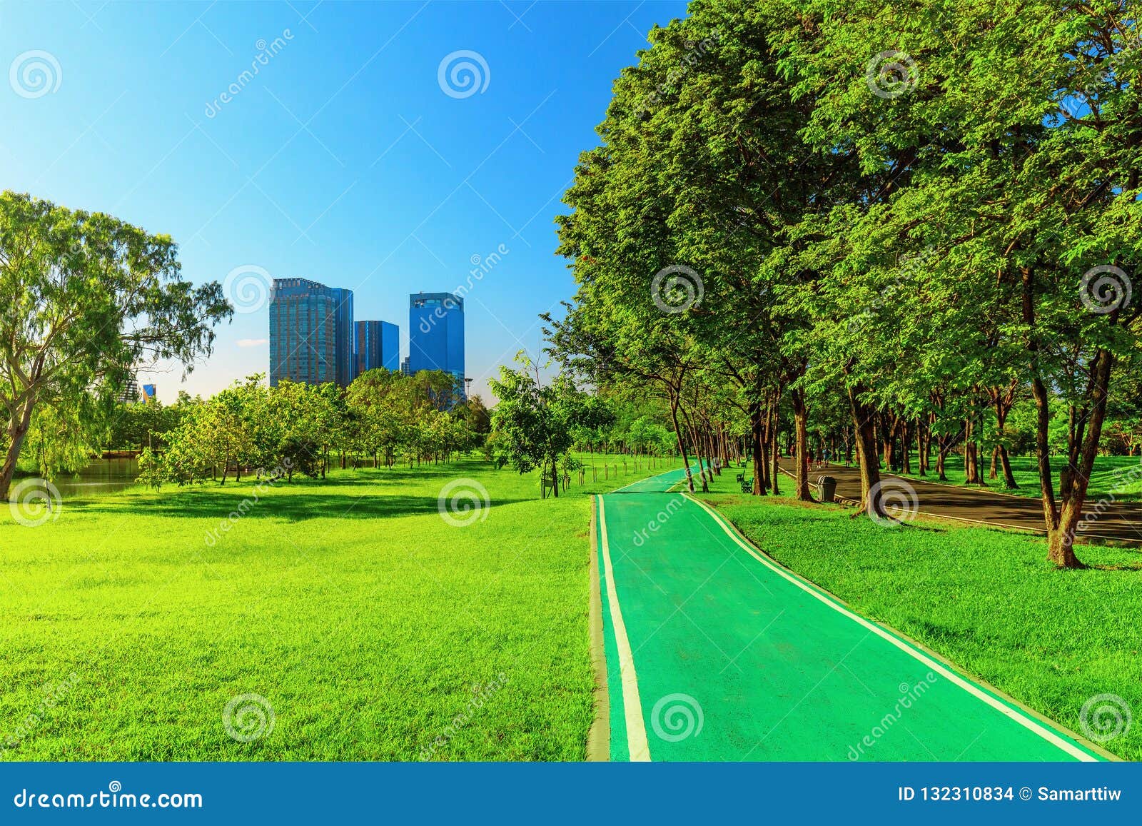 Par Le Parc Pour Pulser Ou Repos Photo stock - Image du paysager, herbe ...