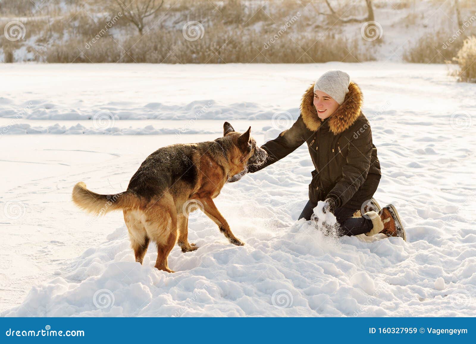 Para caminar al perro imagen de archivo. Imagen de alegre - 160327959