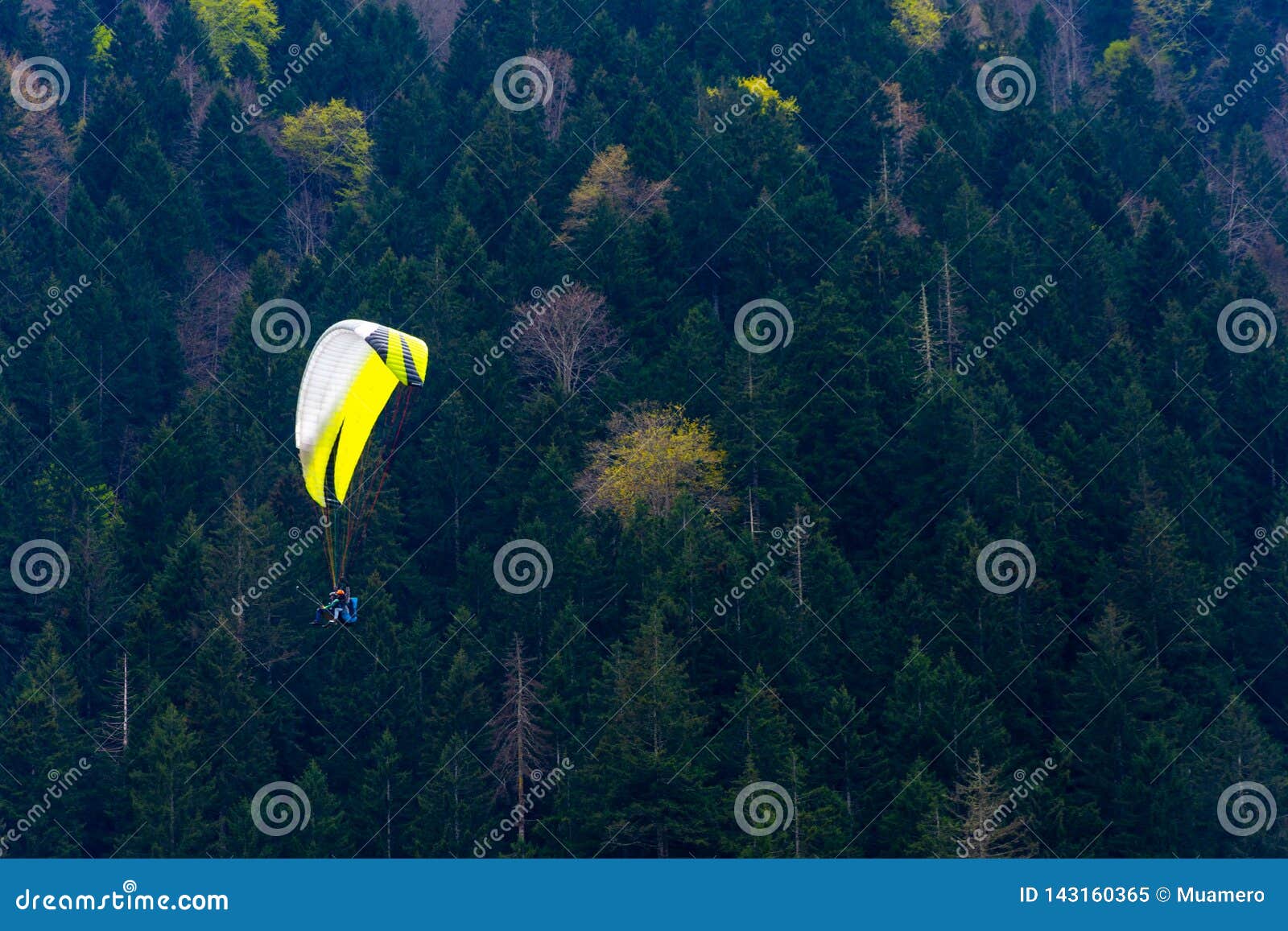 Para-glider through the Air Over the Forest Stock Image - Image of ...