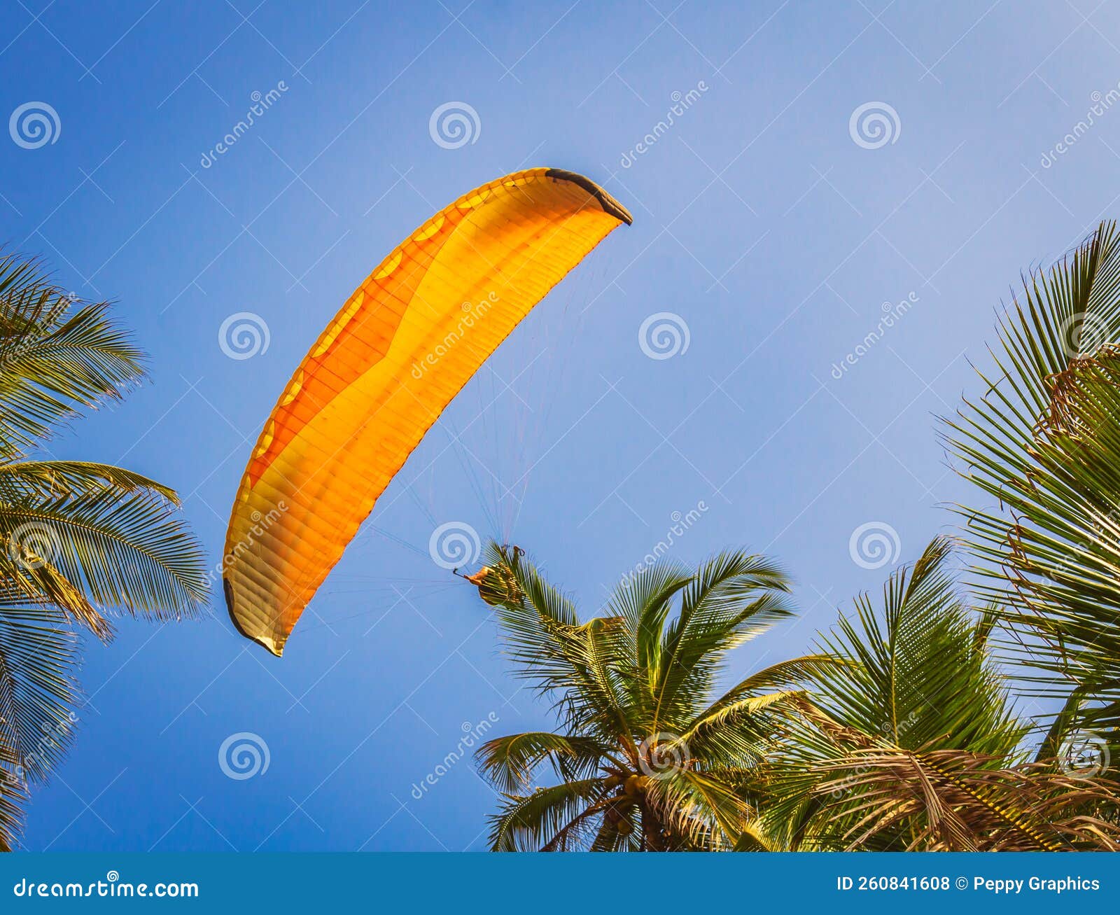 Beautiful Tropical Beach, Goa, India Stock Photo - Image of freedom ...