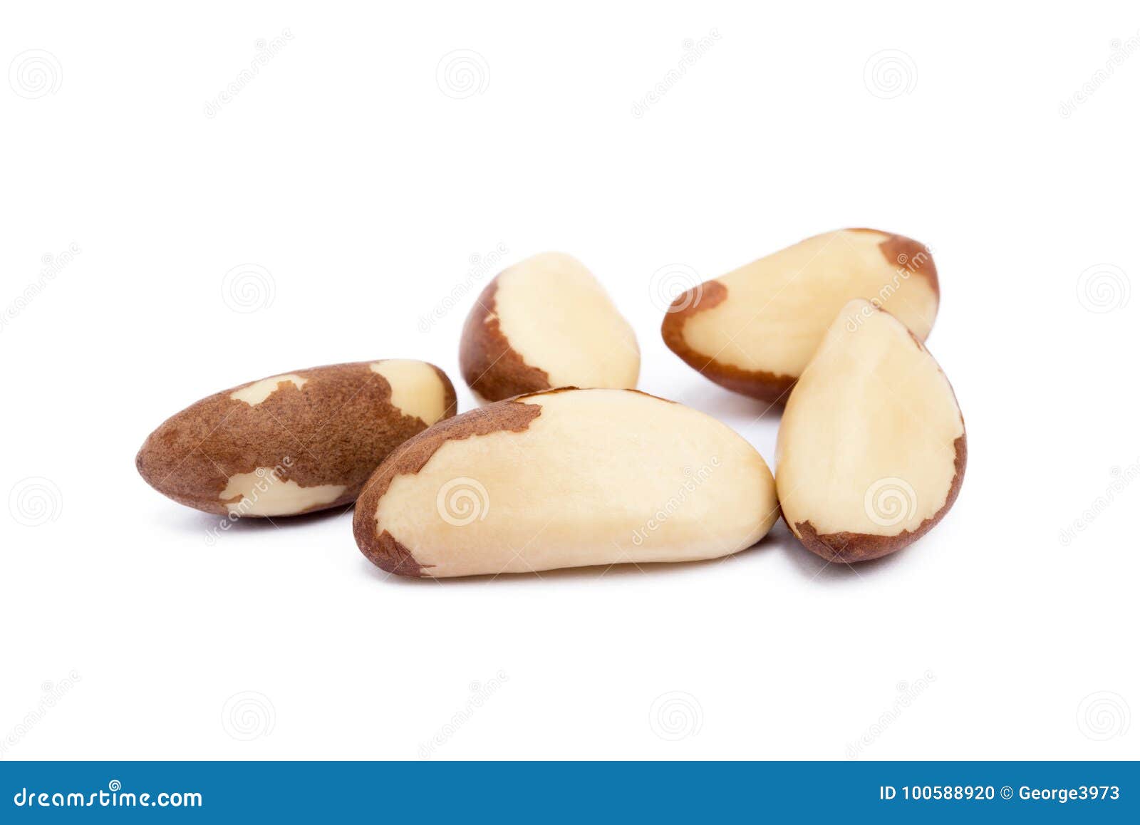 Para nuts isolated stock photo. Image of background - 100588920
