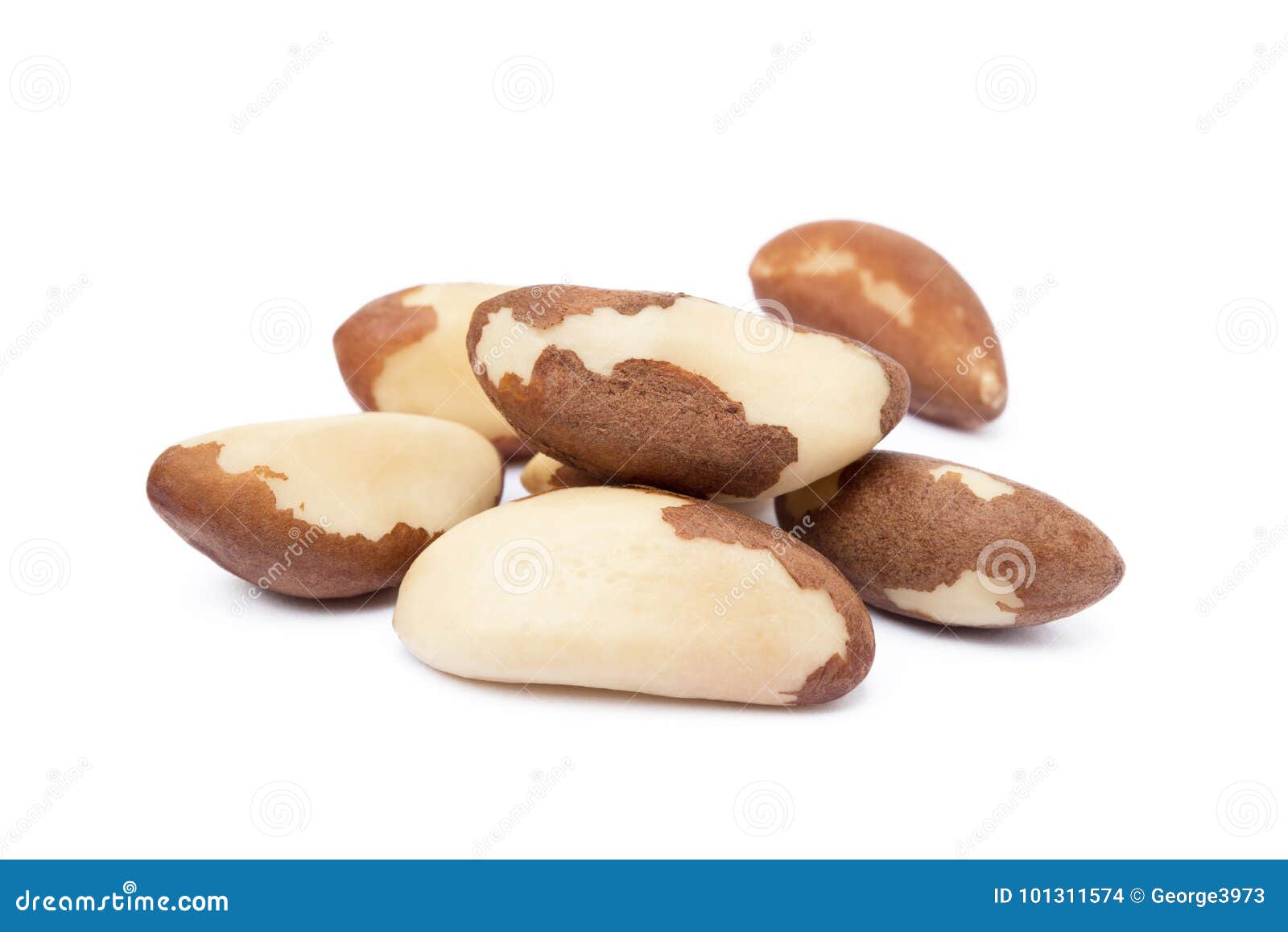 Para nuts isolated stock photo. Image of ingredient - 101311574