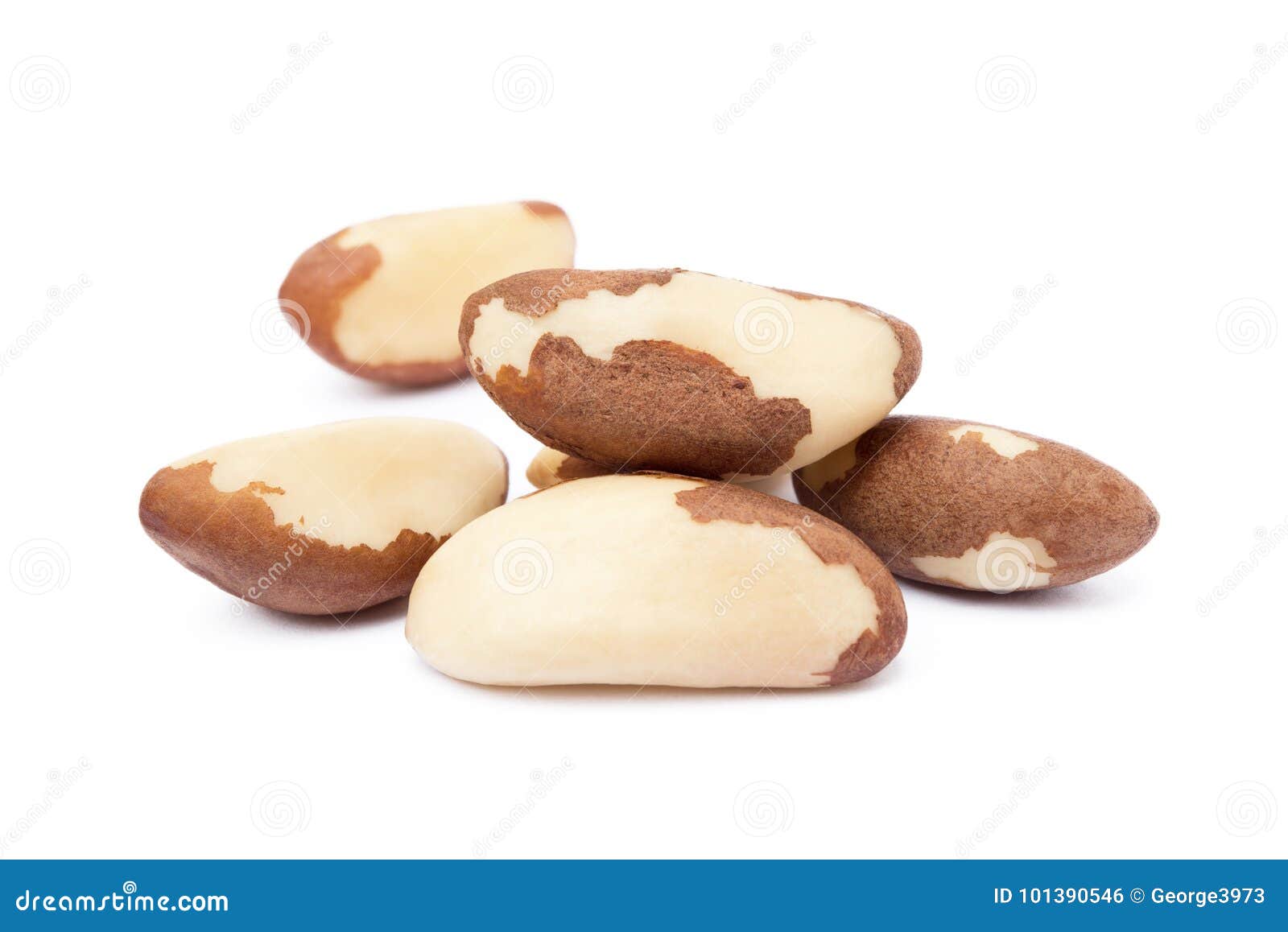 Para nuts isolated stock photo. Image of ingredients - 101390546