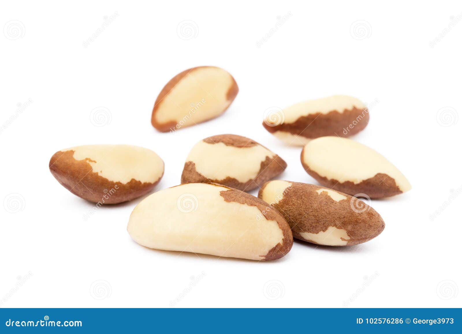 Para nuts stock photo. Image of nuts, detail, close - 102576286