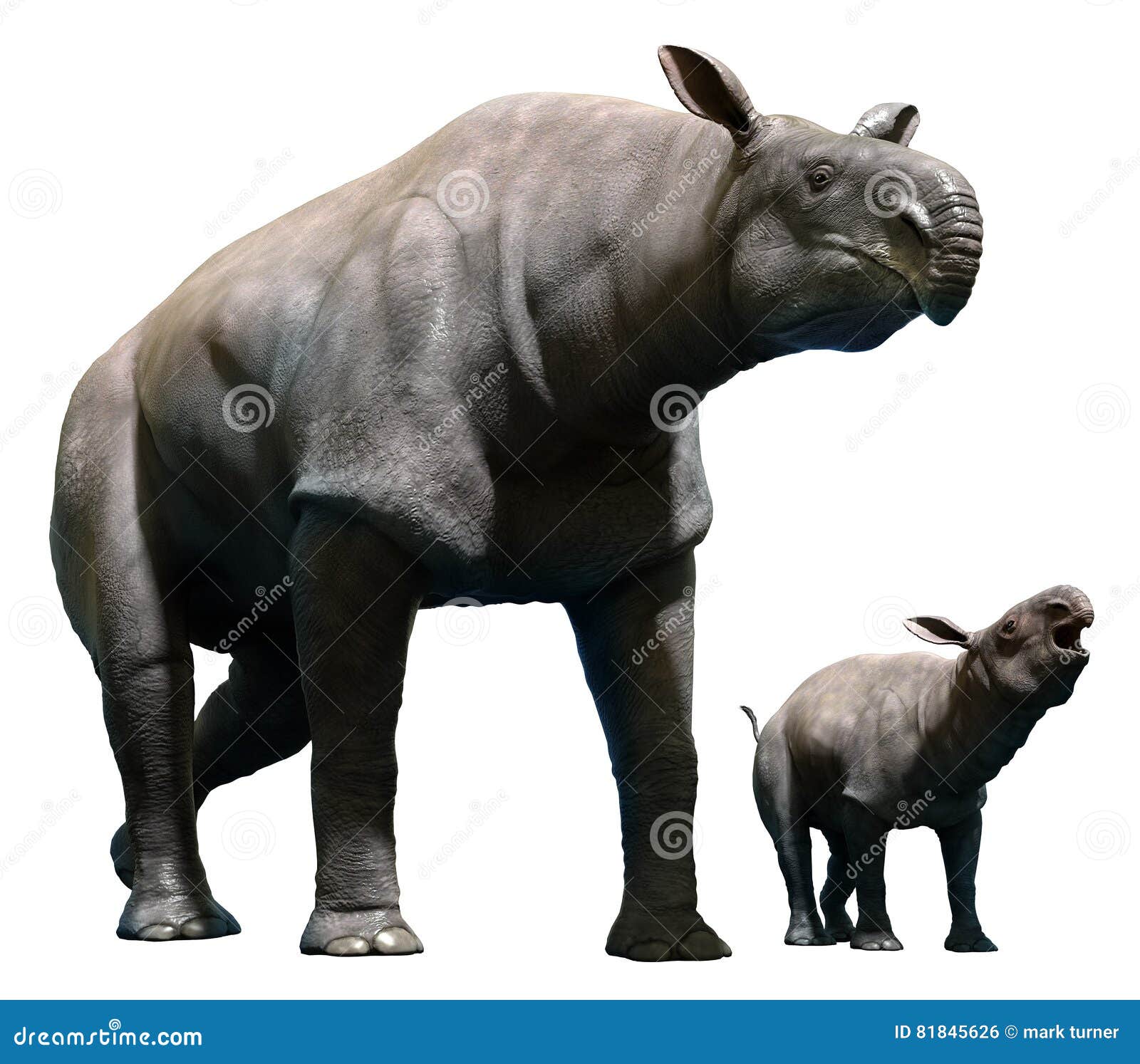 Paraceratherium with calf stock illustration. Illustration of ...