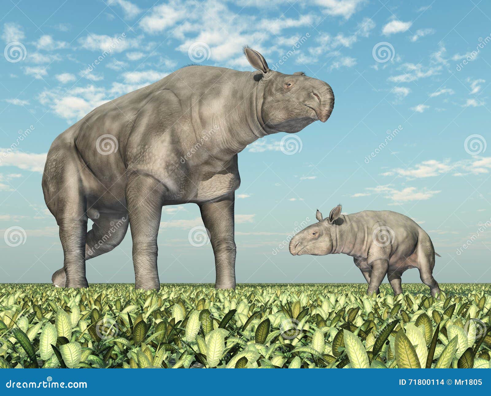 Paraceratherium stock illustration. Illustration of powerful - 71800114