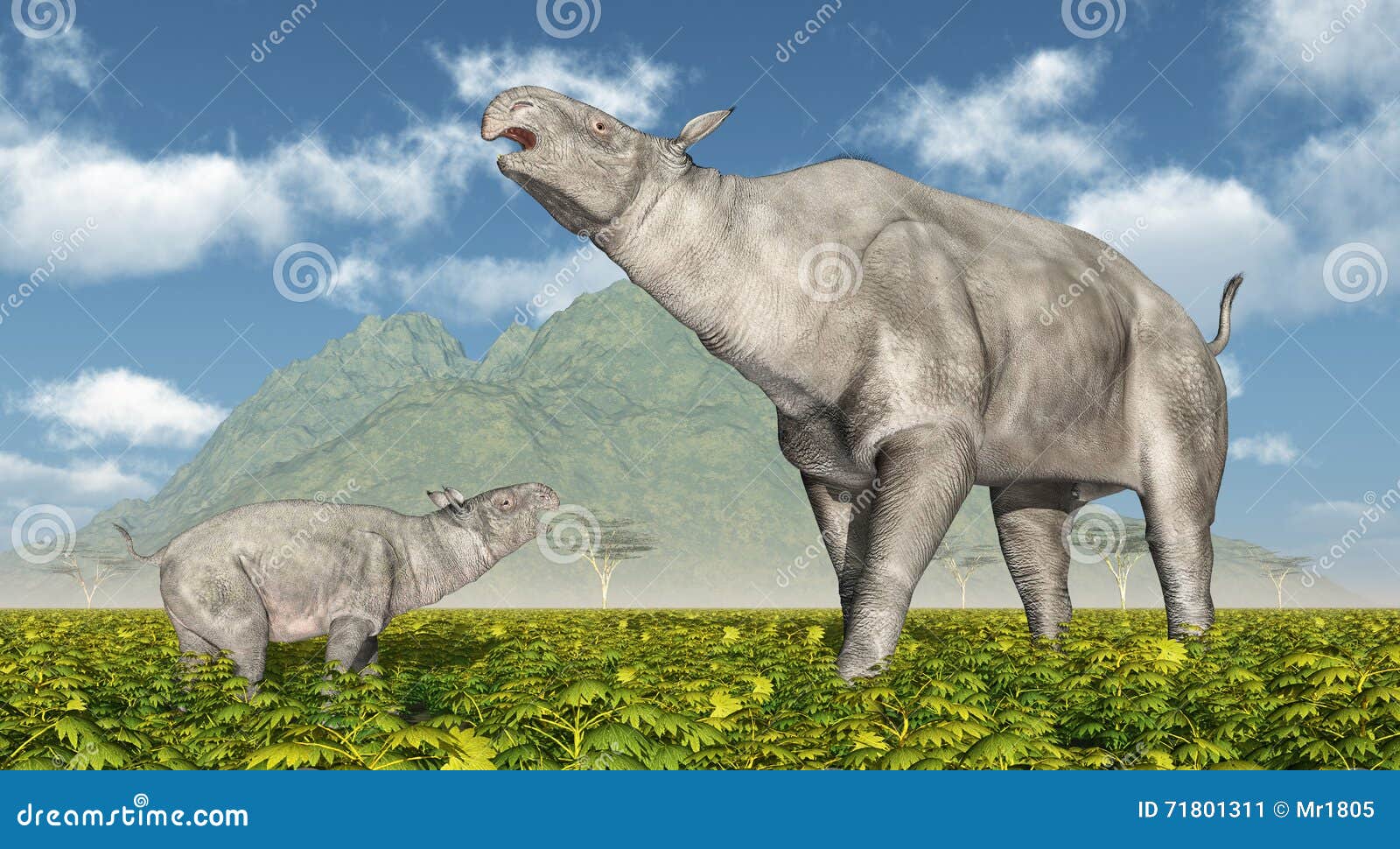 Paraceratherium Mammal Head Stock Photography | CartoonDealer.com ...