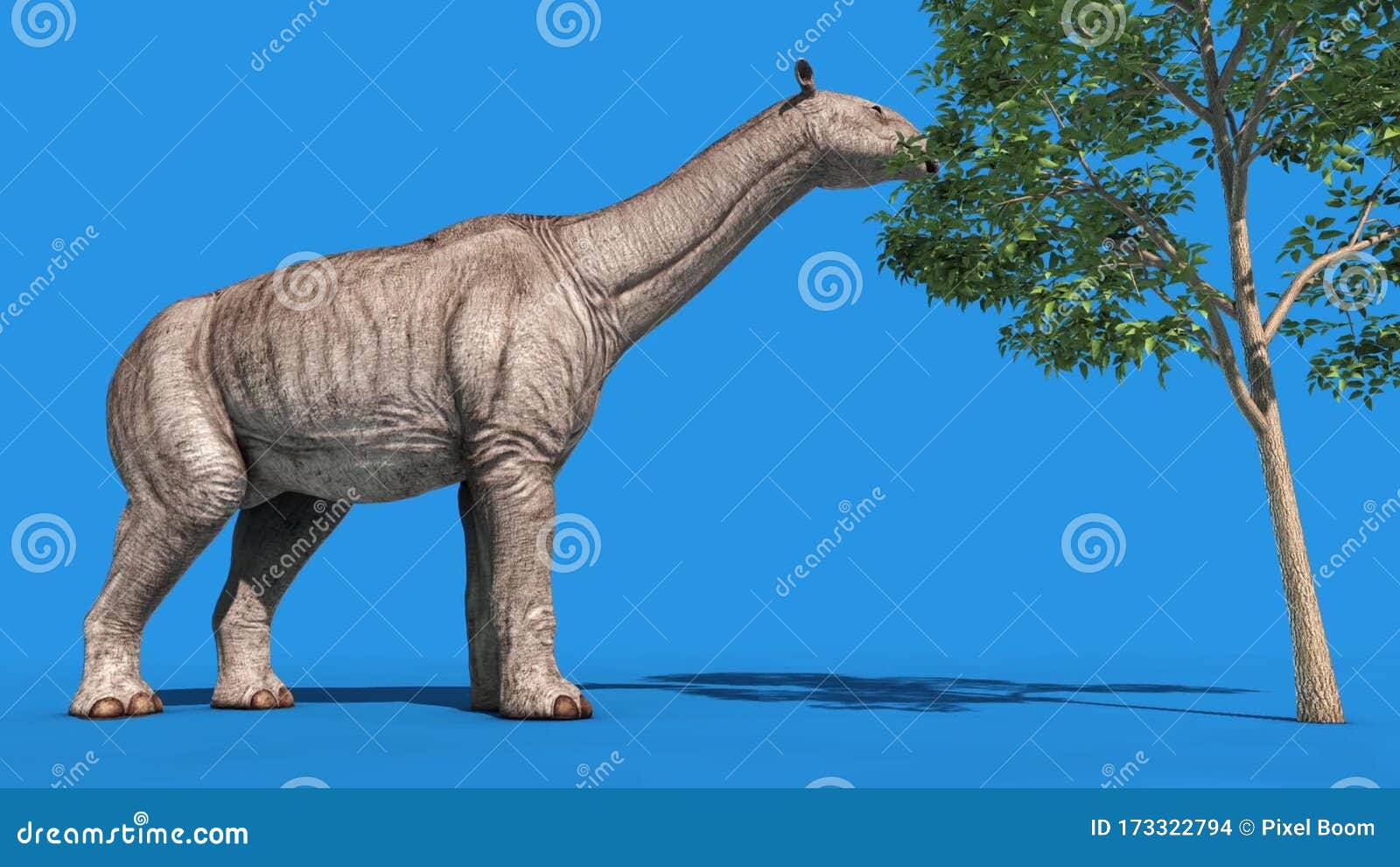 Paraceratherium Cartoons, Illustrations & Vector Stock Images - 41 ...