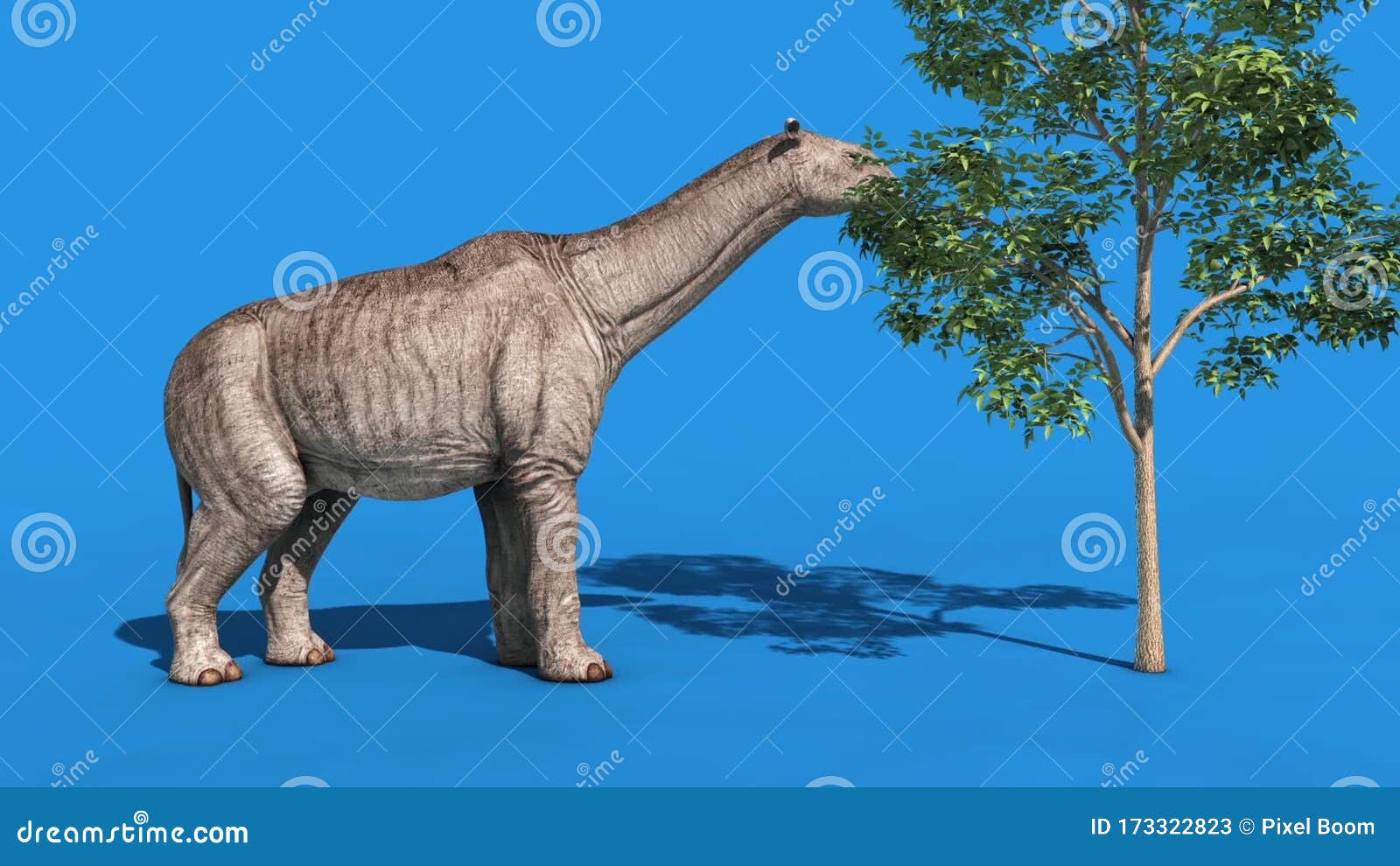 Paraceratherium Cartoons, Illustrations & Vector Stock Images - 41 ...