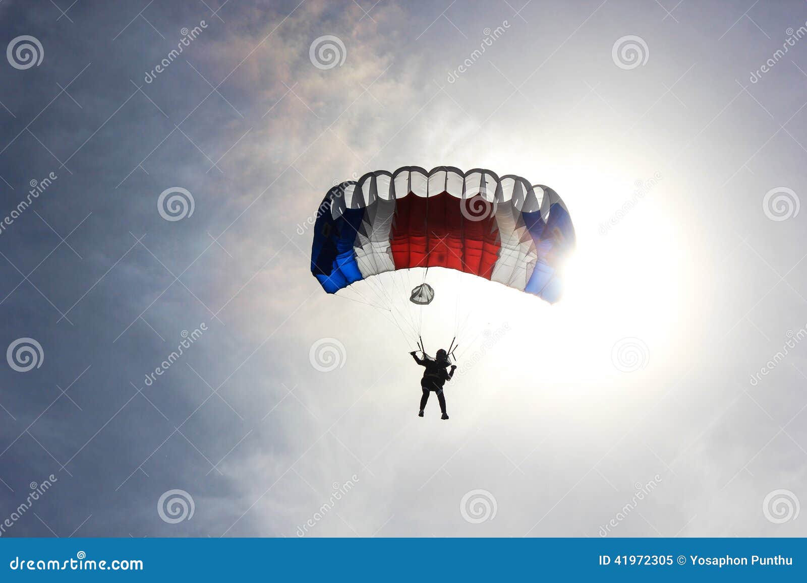 Parachute stock image. Image of carapace, animal, parachute - 41972305